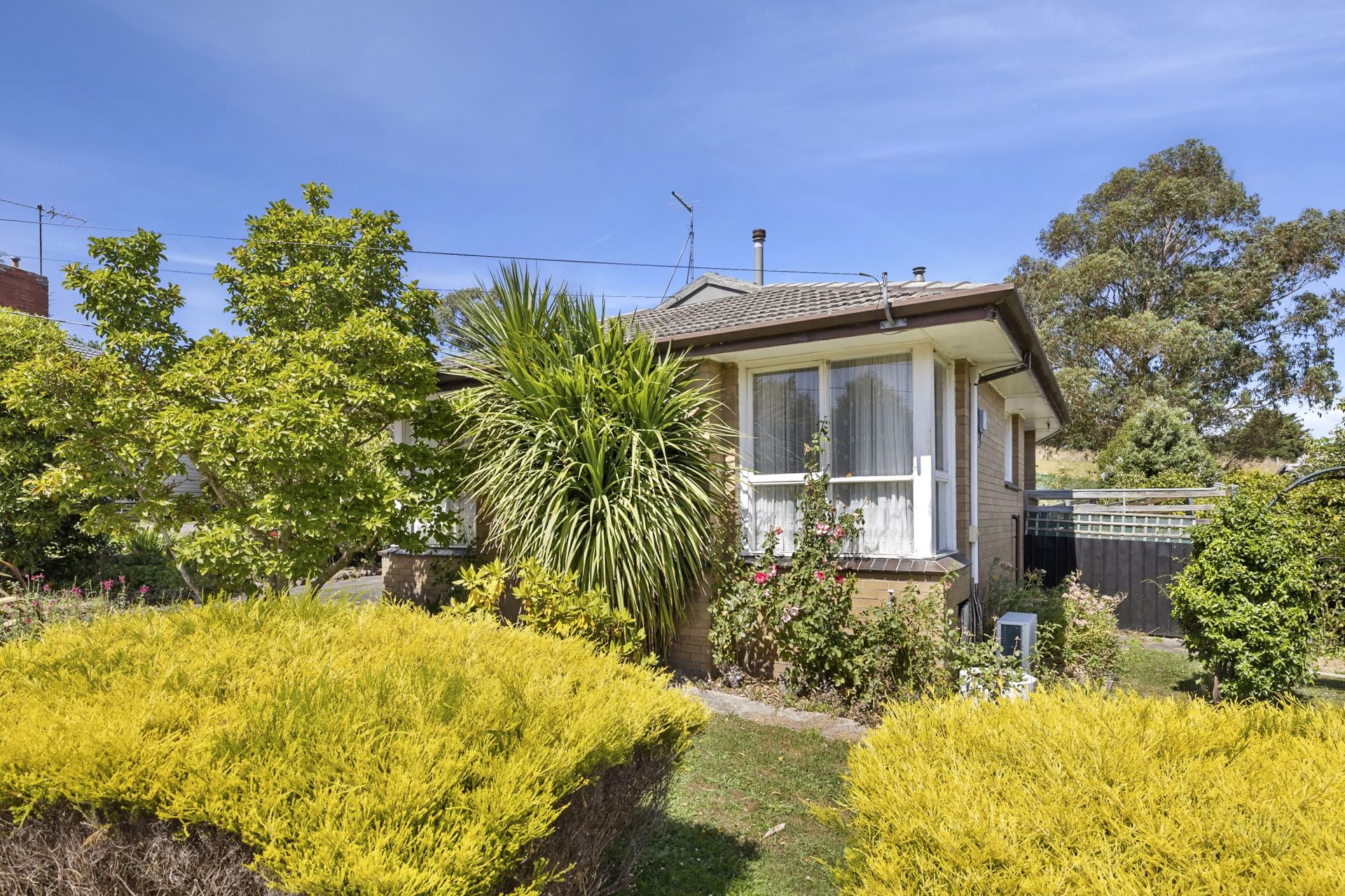 11 Heales Street, Mount Pleasant | Ballarat Real Estate Pty Ltd
