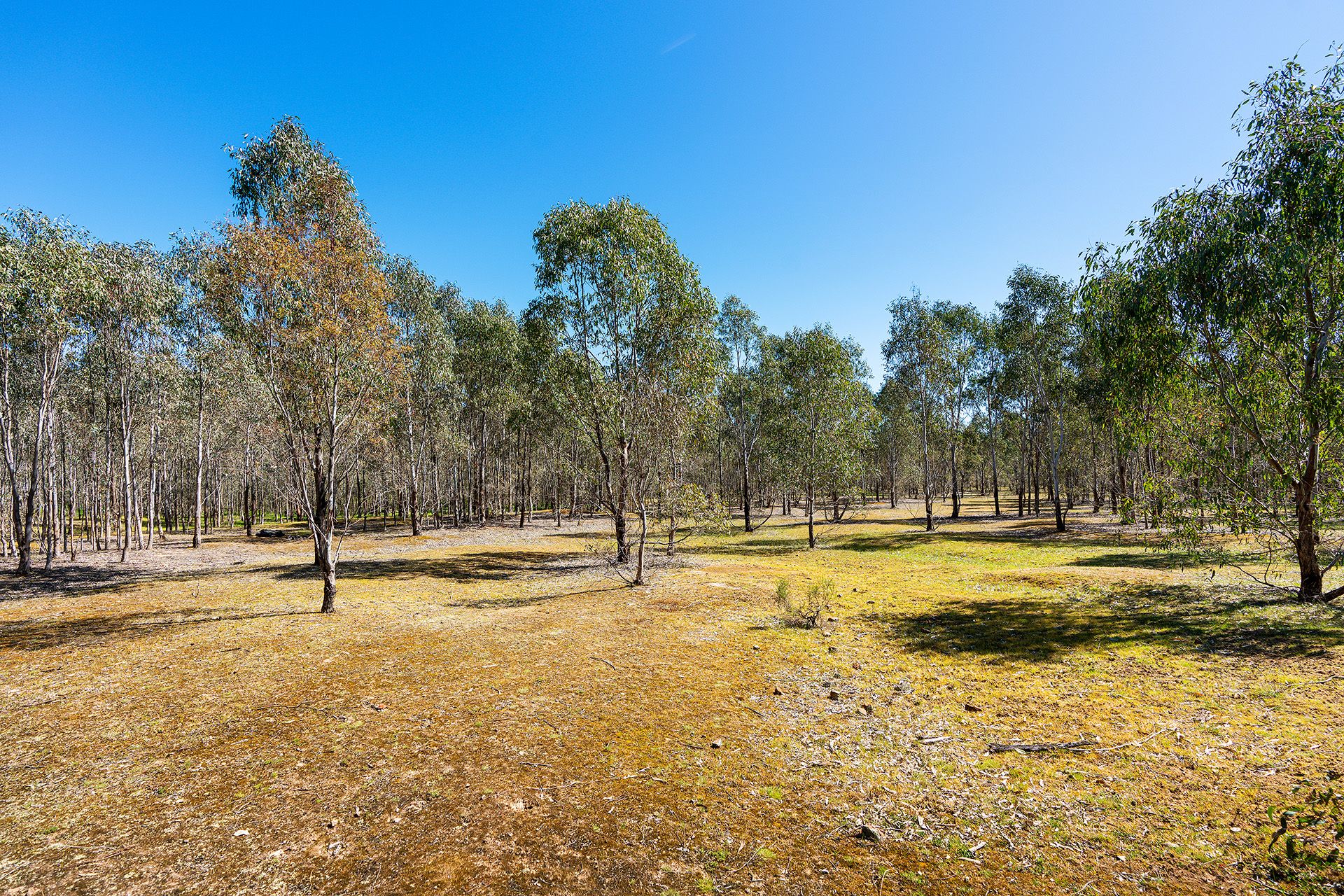 Lot 37E Mt. Camel - Graytown Road, Redcastle | Cantwell Property ...