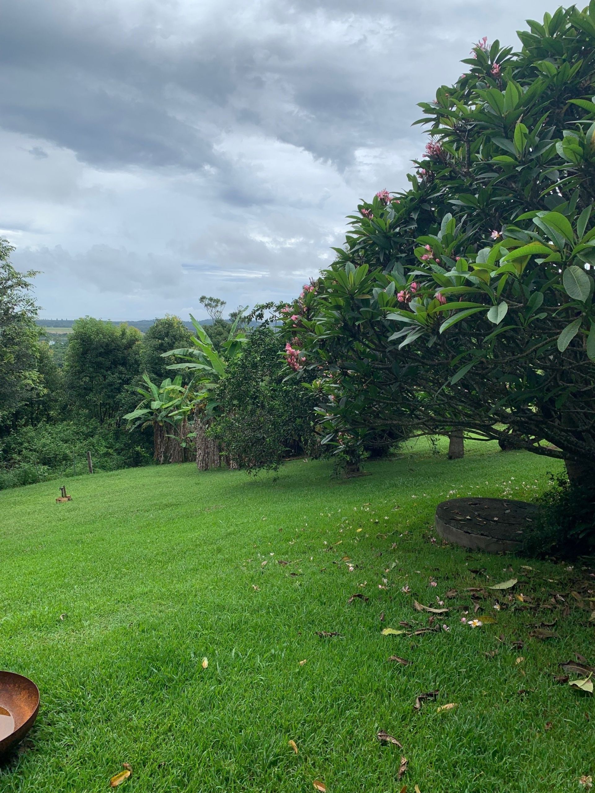 52 Hinterland, Knockrow | Lois Buckett Real Estate