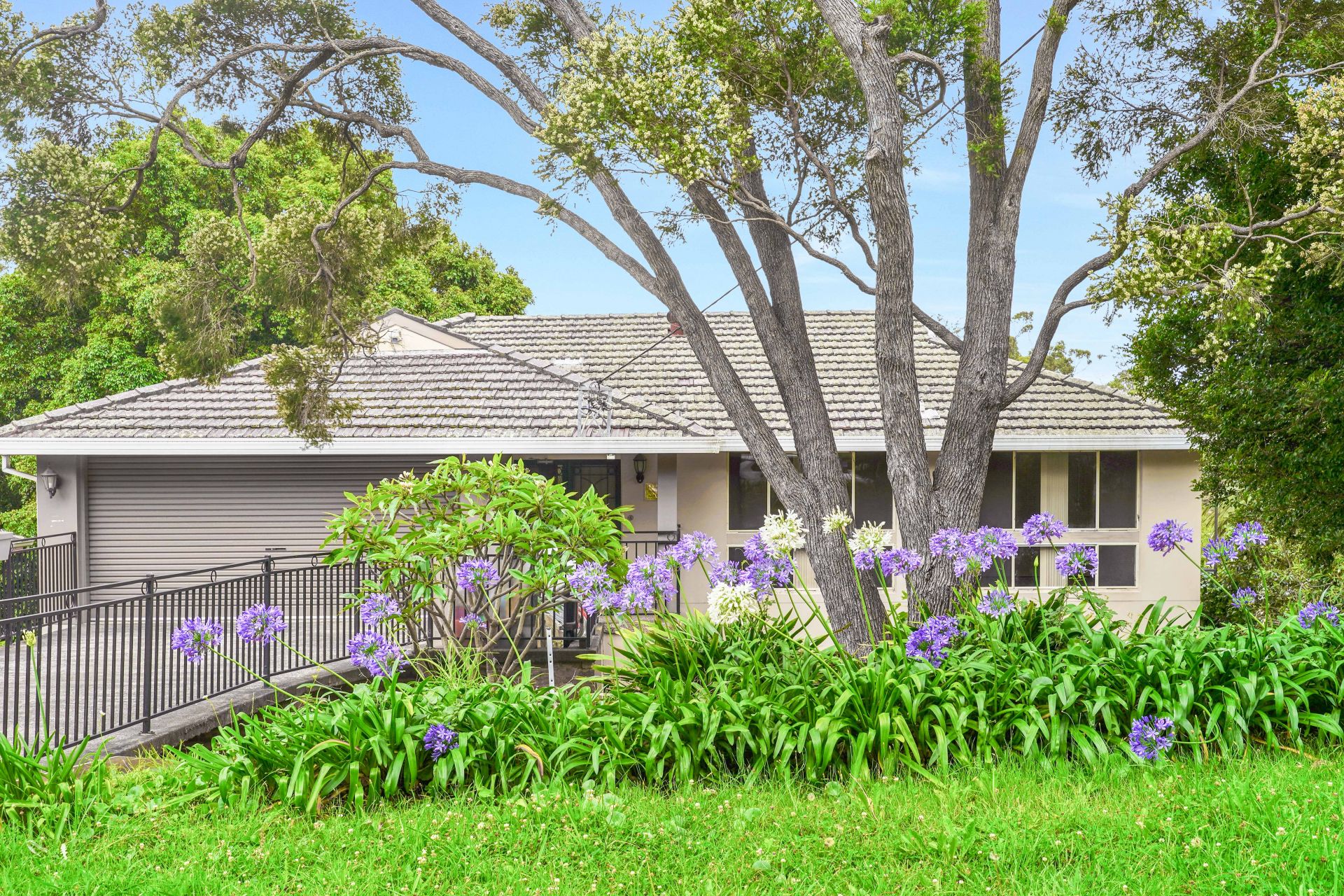 Real Estate For Lease - 4 Colleen Grove - Wollongong , NSW
