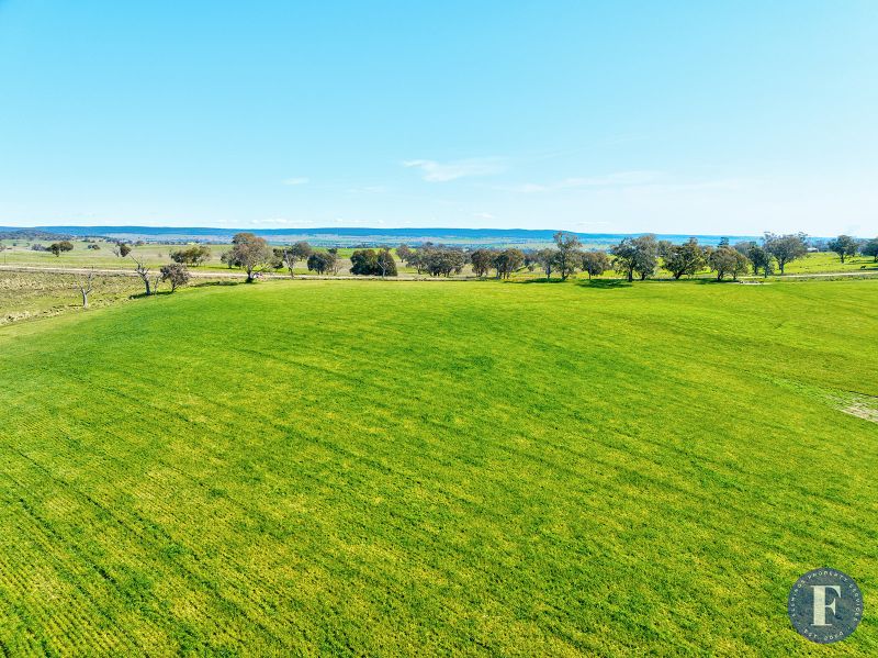 Lot 4 Geegullagong Roads, Murringo | Flemings Property Services