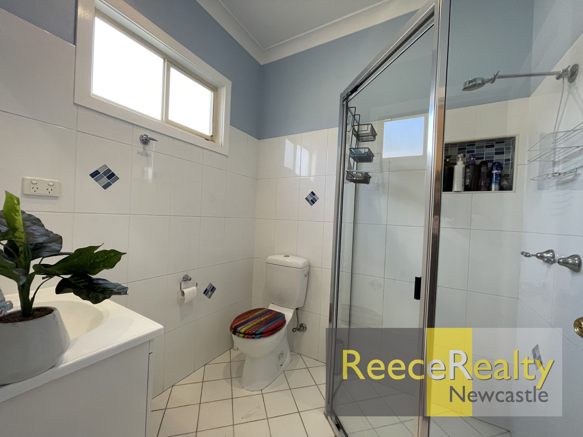 23 Carandotta Street, Mayfield West | Reece Realty Newcastle