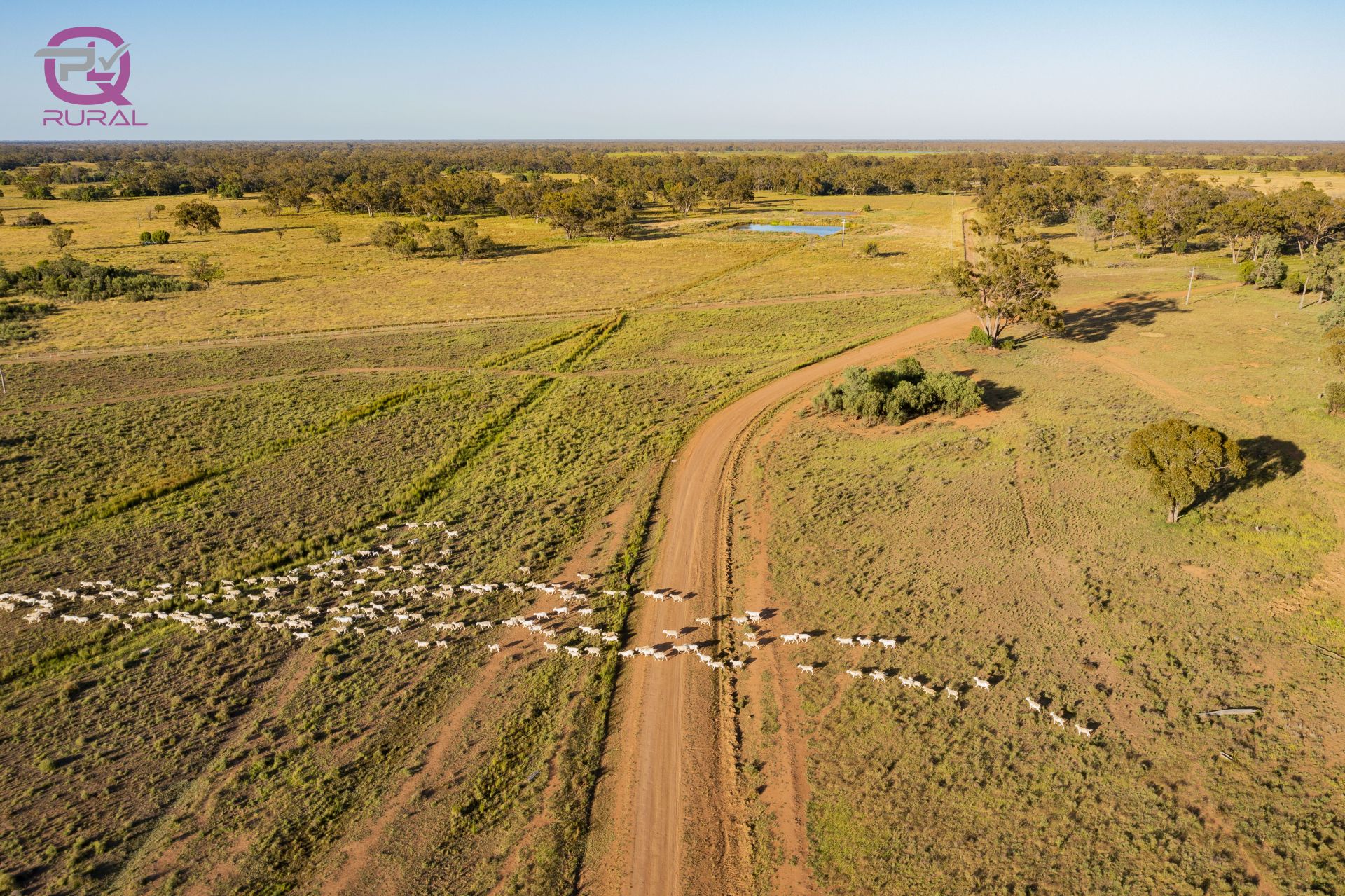 799 Sandy Camp Road, QUAMBONE | QPL Rural