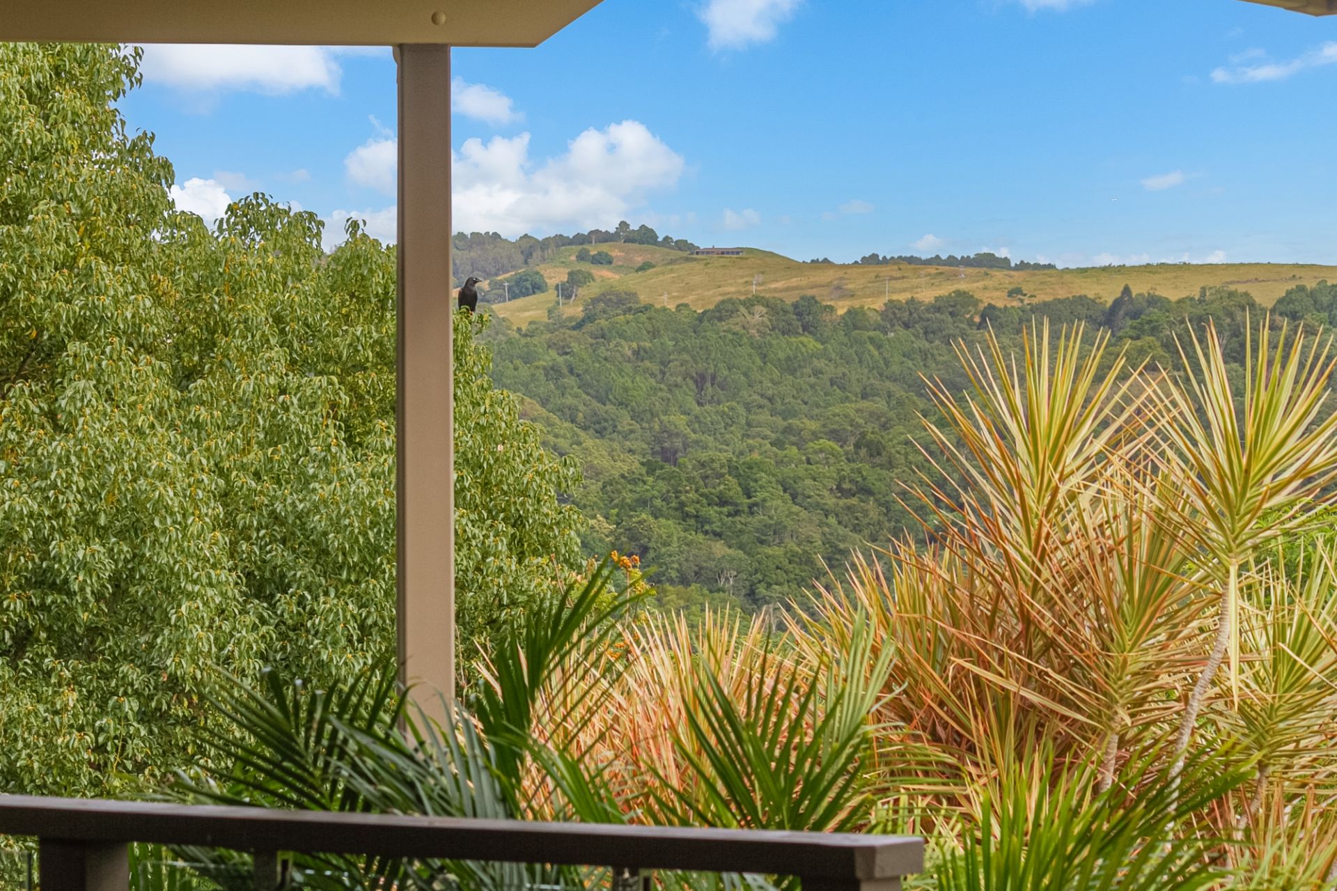 3 Mount Bilinga Circuit, Bilambil Heights | DJ Stringer Property Services