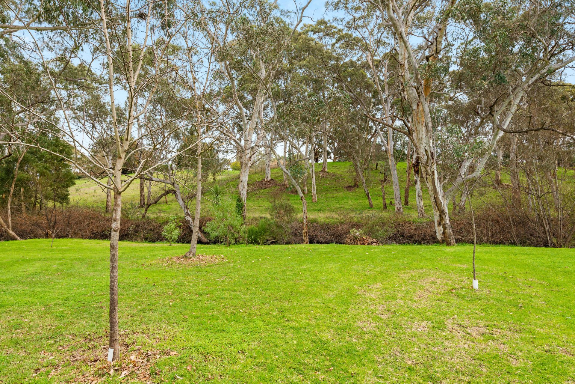 21 Onkaparinga Valley Road, Balhannah | Adcock Real Estate