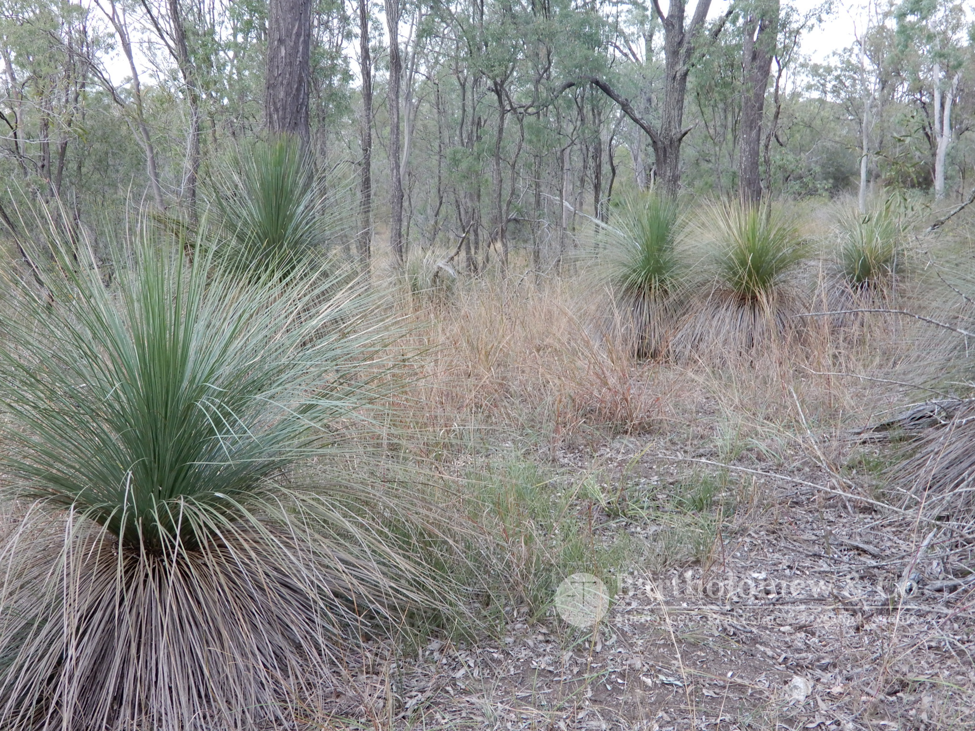 Real Estate For Sale - Lot 1 Verrall Road - Limestone Ridges , QLD