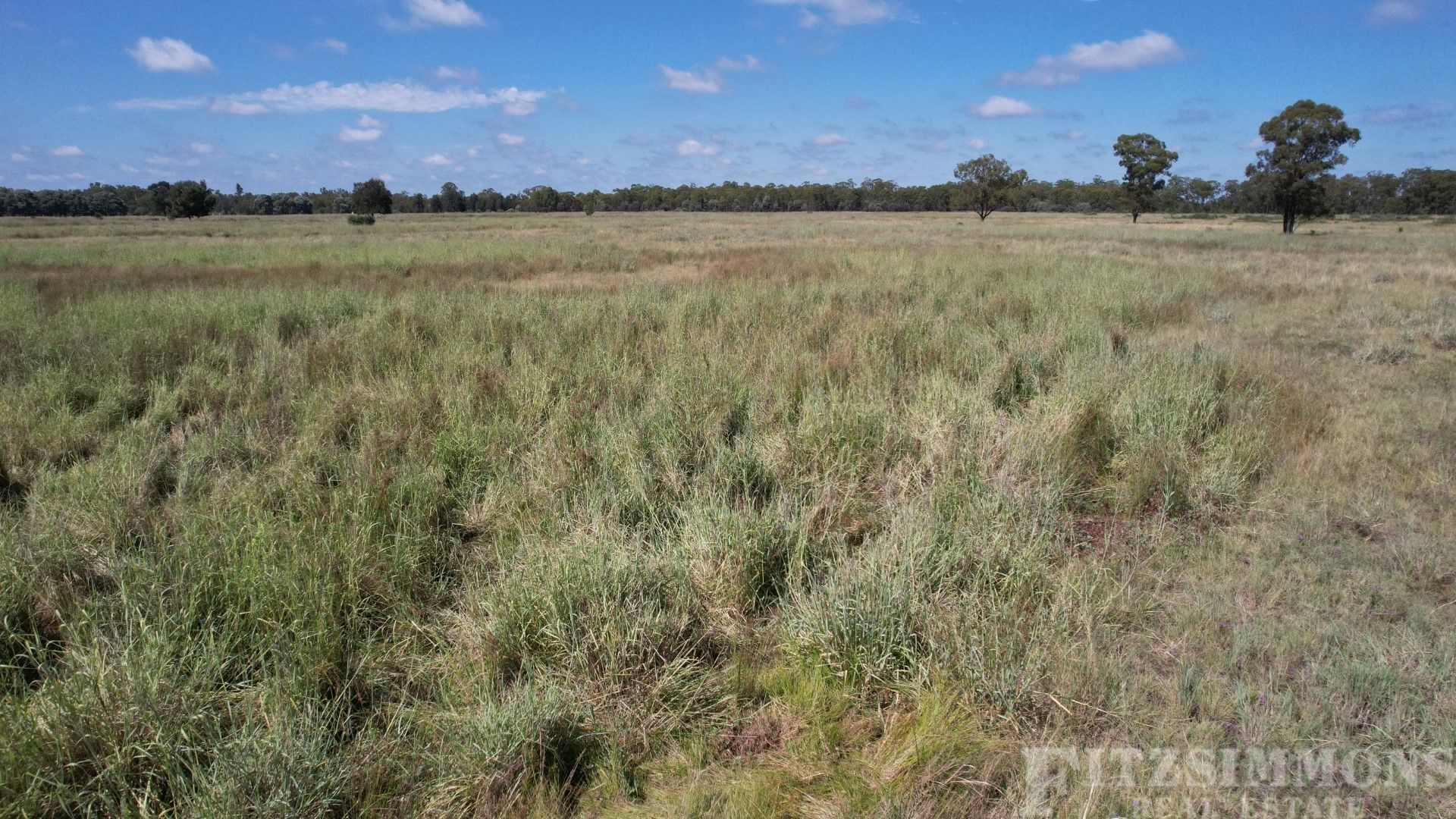 189 Wilsons Road, Ducklo | Fitzsimmons Real Estate