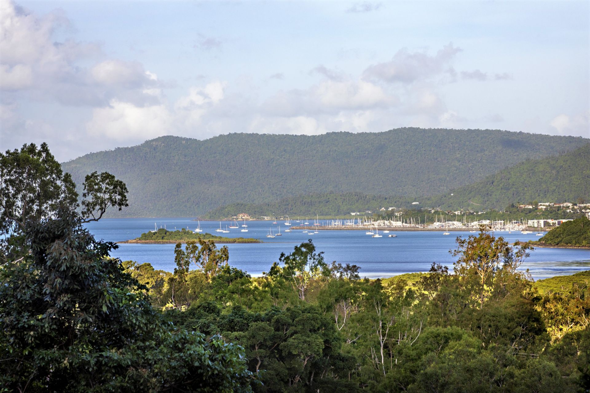 237 Paluma Road, Woodwark | Taylors Property Specialists