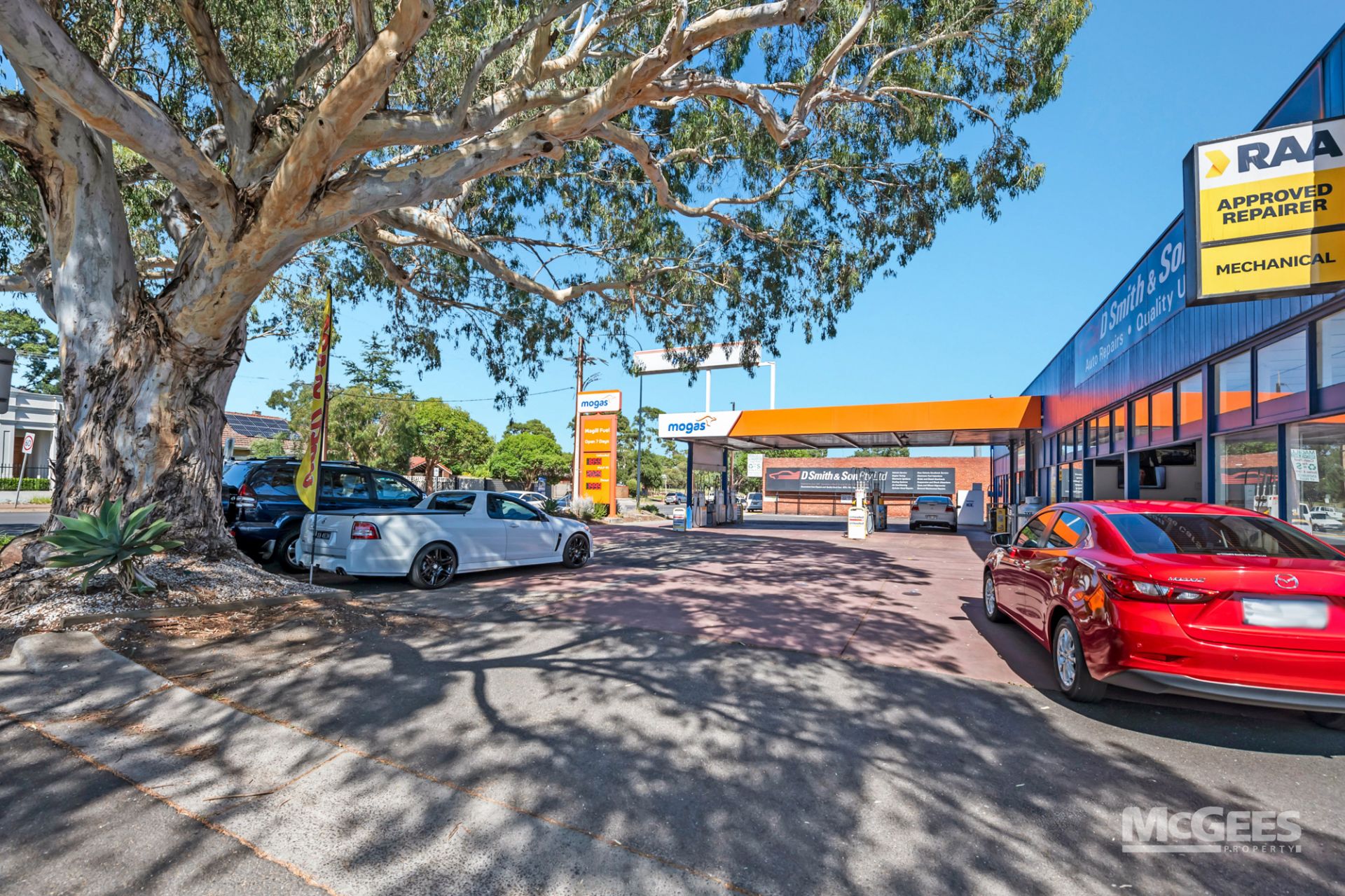 659 Magill Road, Magill | McGees Property Adelaide