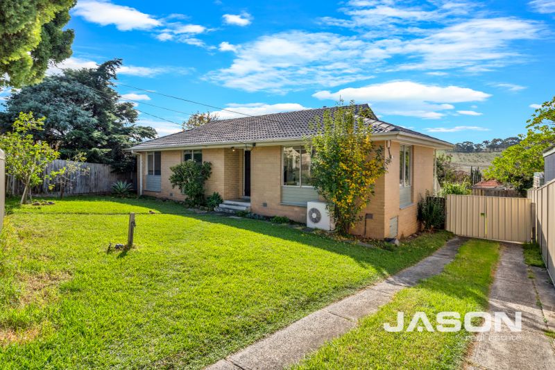 Home - Jason Real Estate