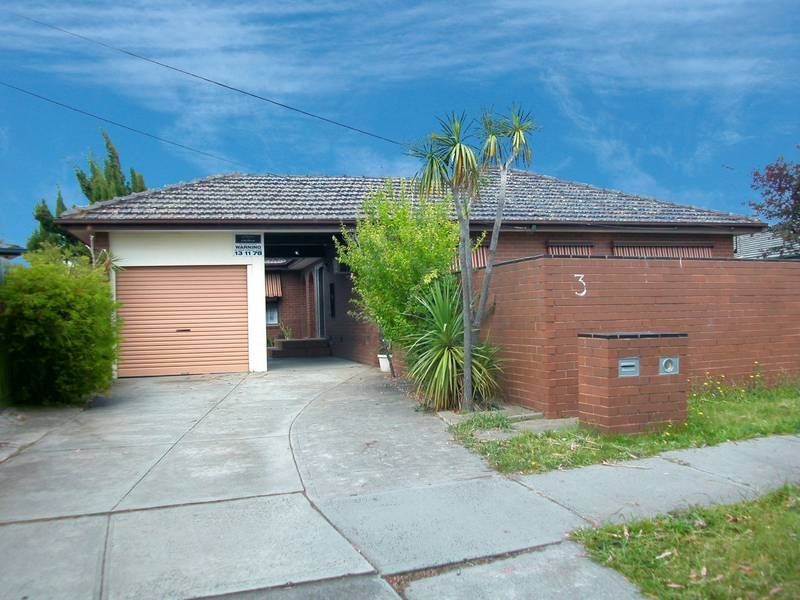 Home - Jason Real Estate