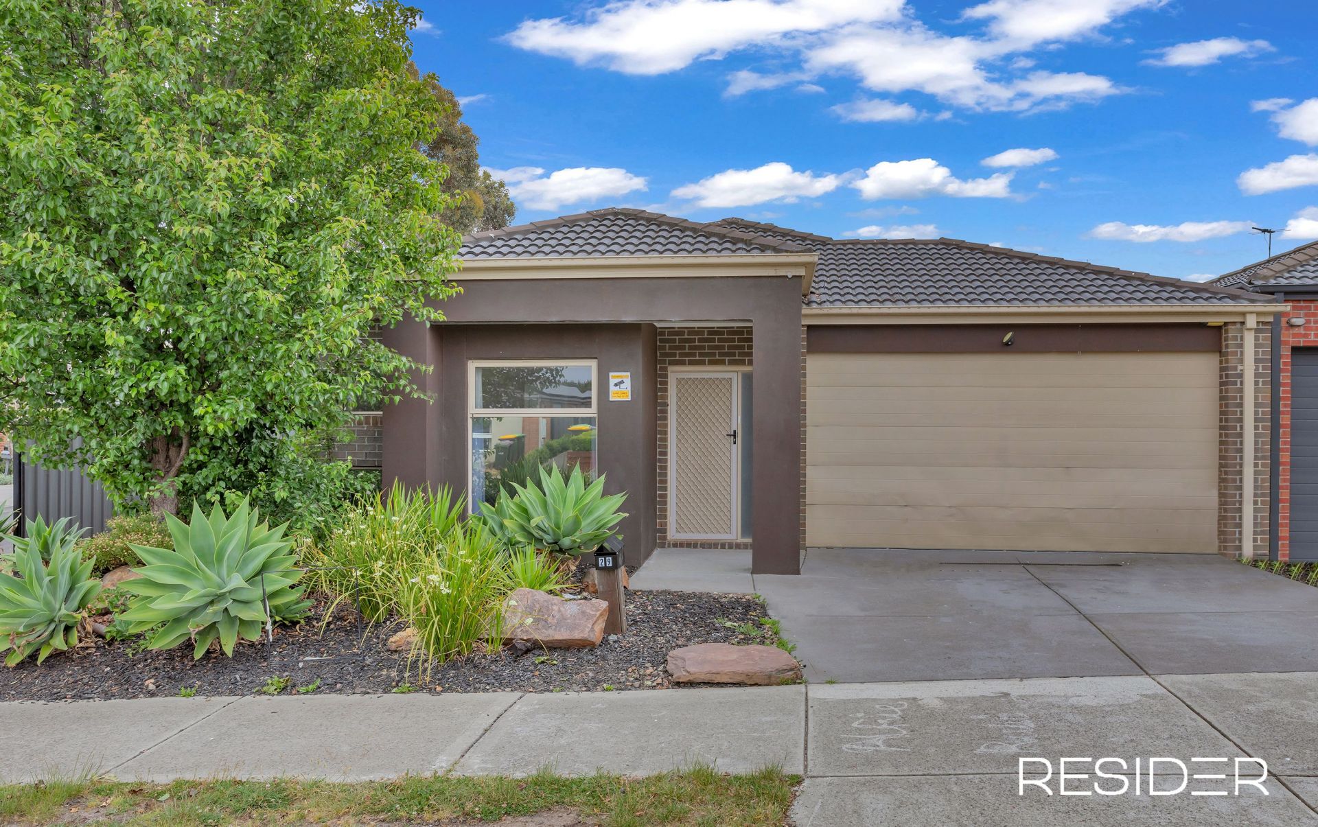 29 Chicory Street, Mernda | Resider Real Estate