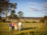 Home - Peters Real Estate