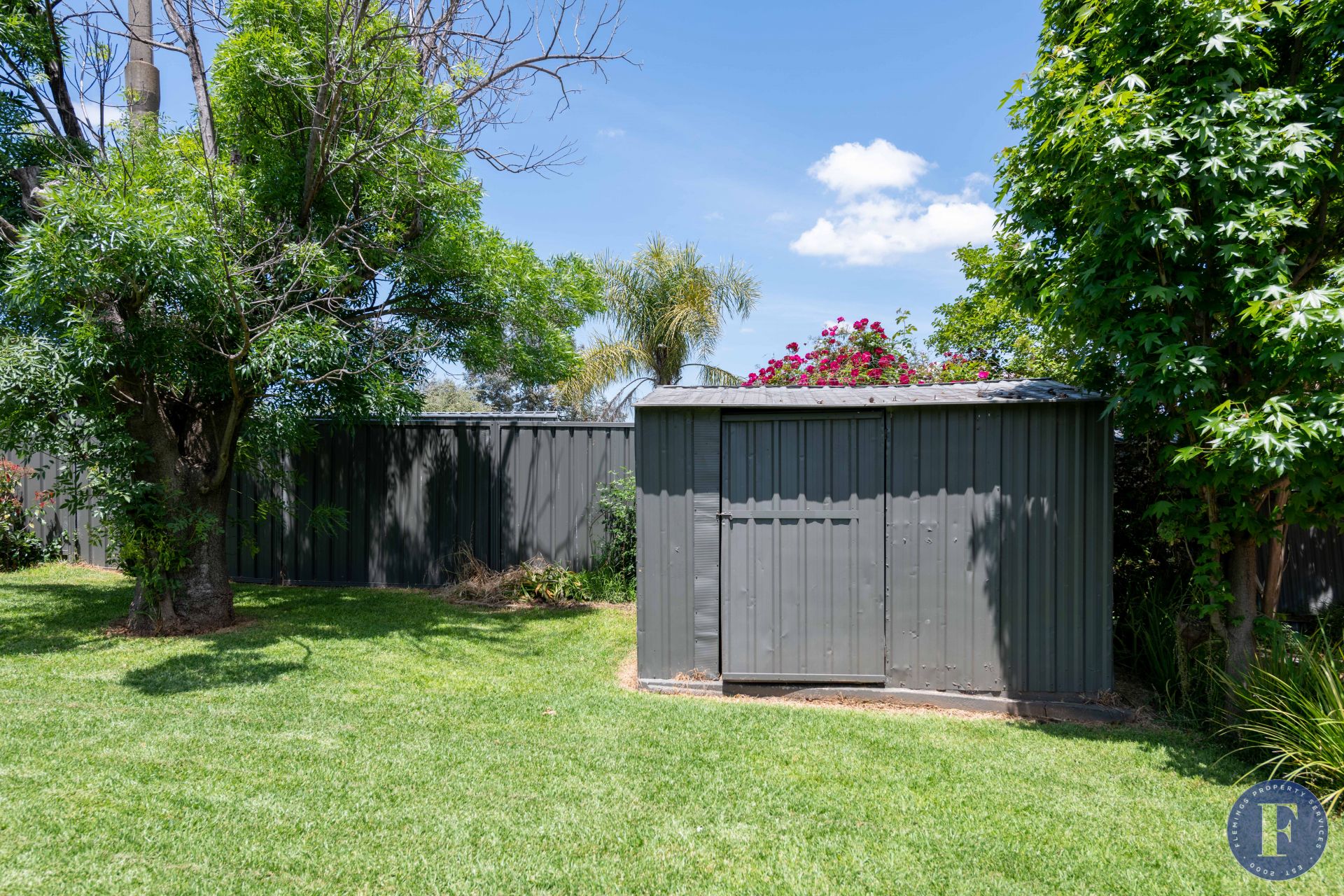 55 Elizabeth Street, Young | Flemings Property Services