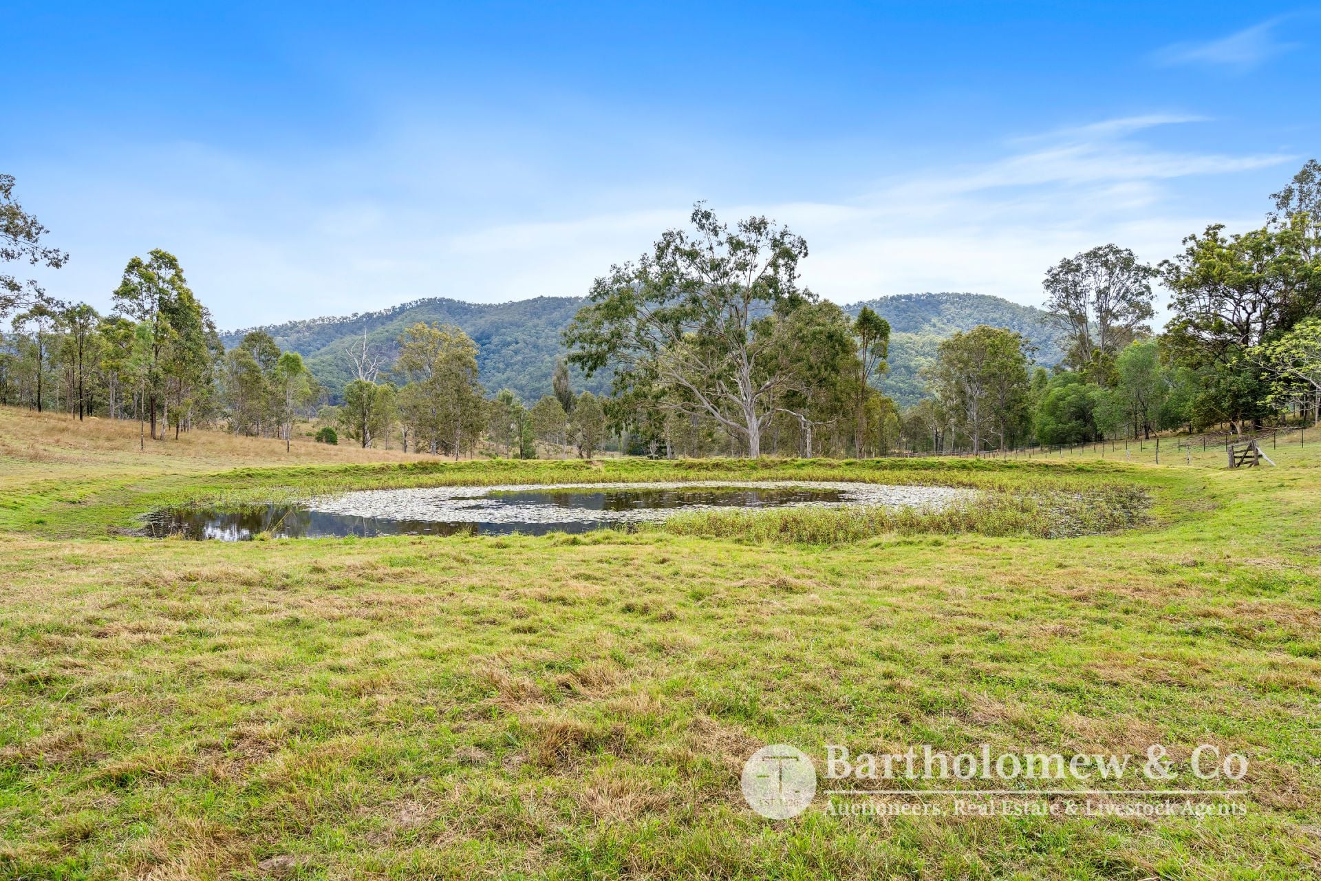 Upper Allan Creek Road, Bromelton | Bartholomew