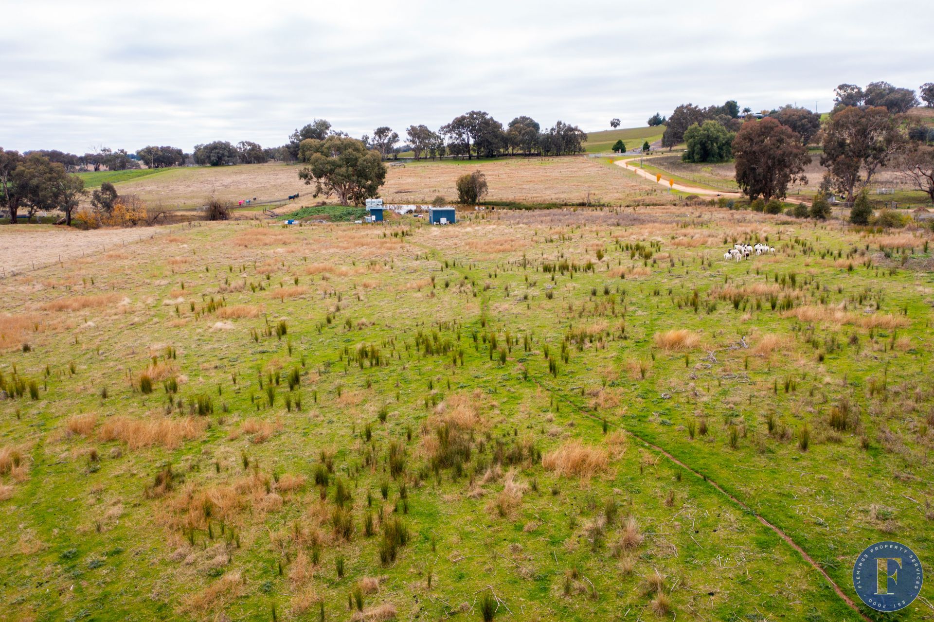 141 Forbes Lane, Young | Flemings Property Services