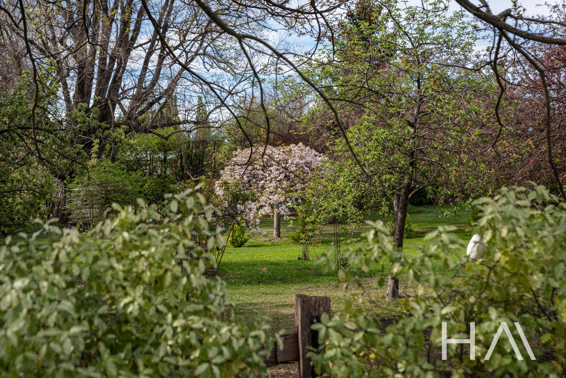 8 Patrick Street, Bothwell | Harrison Agents