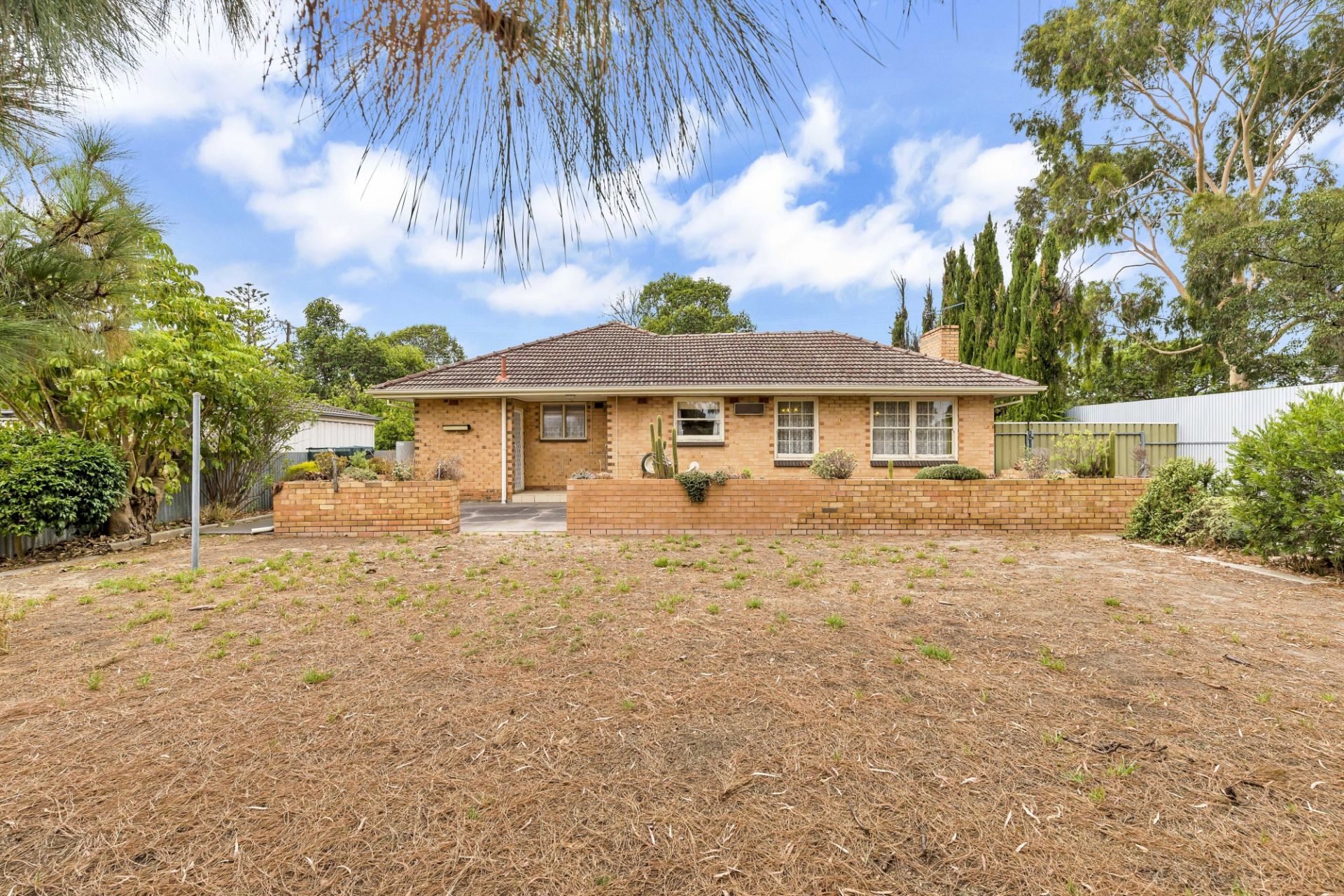 41 Scott Street, Glynde | Williams Real Estate