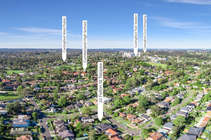 Real Estate For Sale - 22 Felton Street - Telopea , NSW