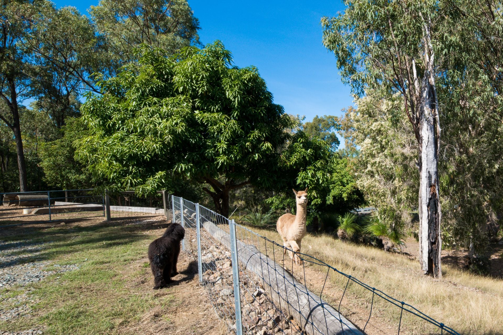 1299 Midge Point Road, Midge Point | Taylors Property Specialists
