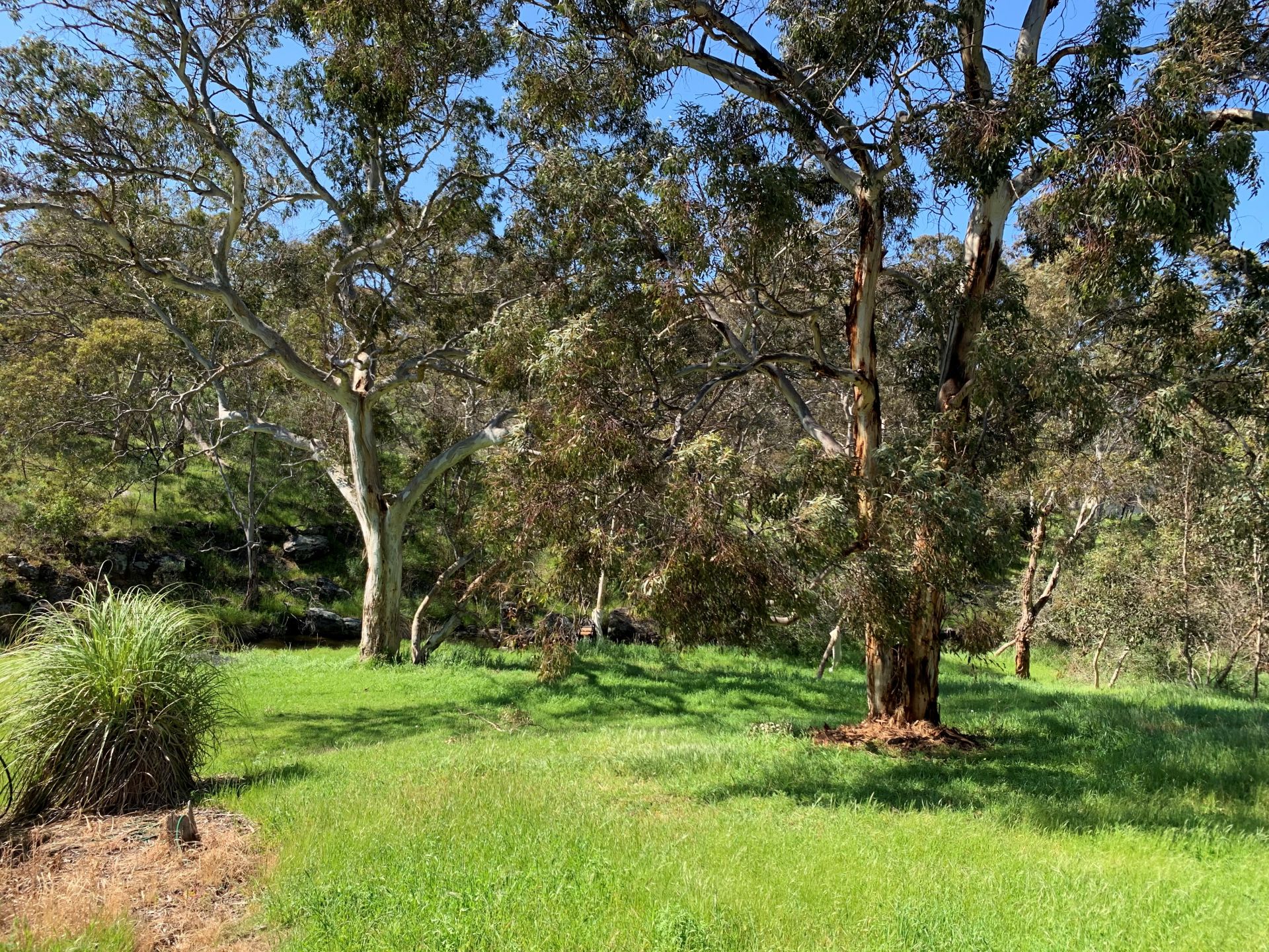 999 Waitpinga Road, Waitpinga | South Coast Realty