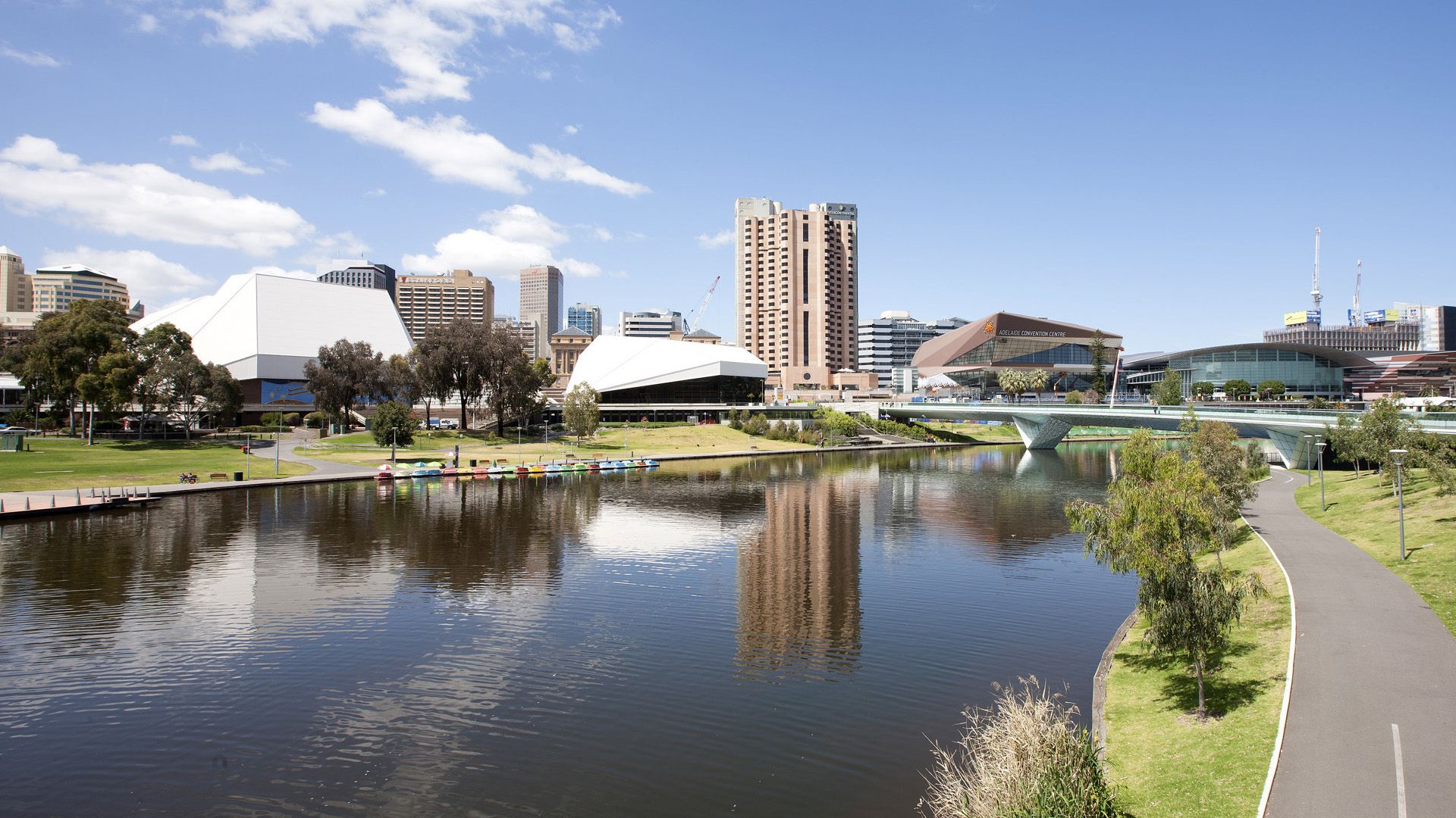 220 Melbourne Street, North Adelaide | Fox RE