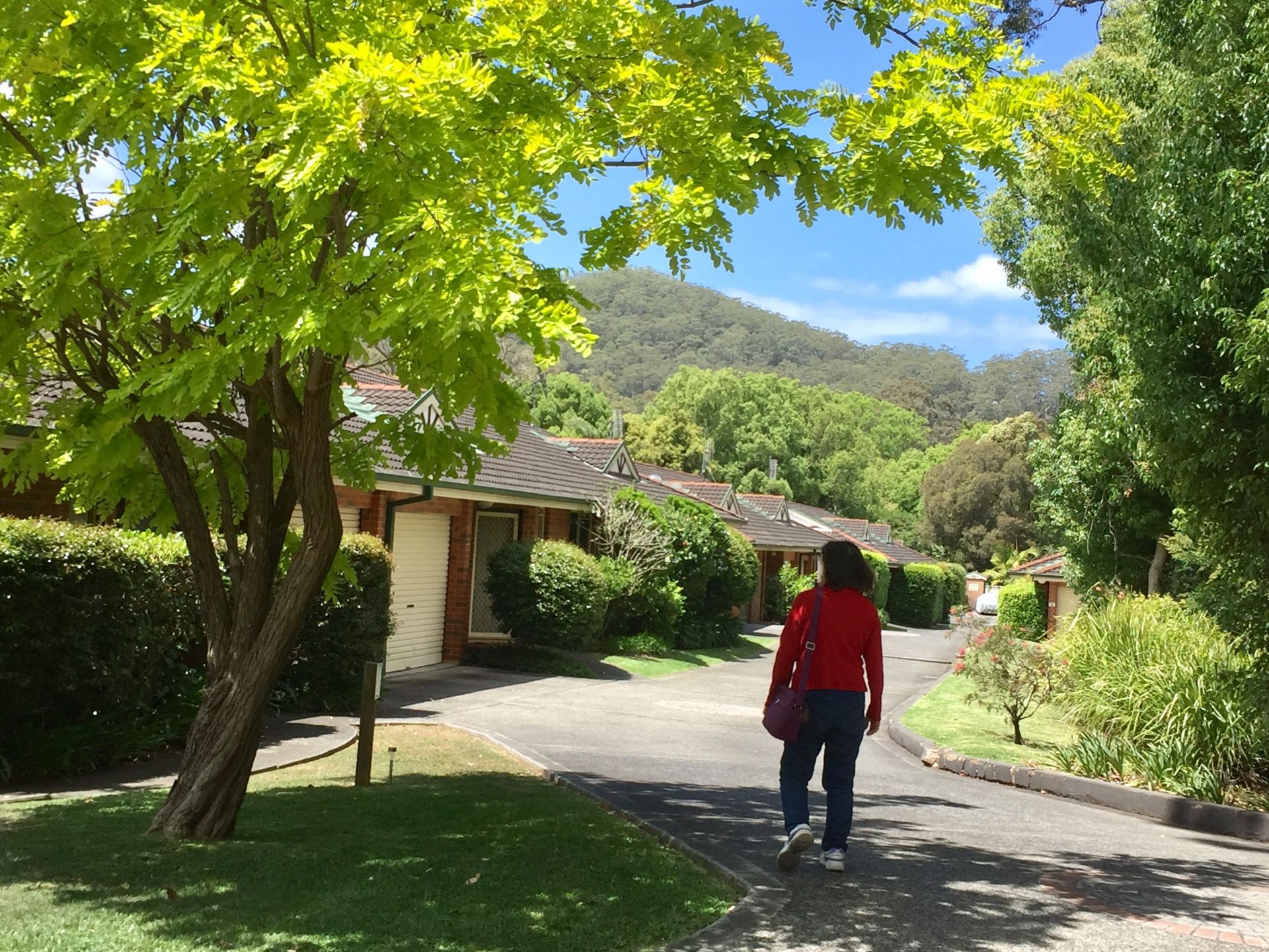 Real Estate For Lease - 3/153 Narara Valley Drive - Narara , NSW