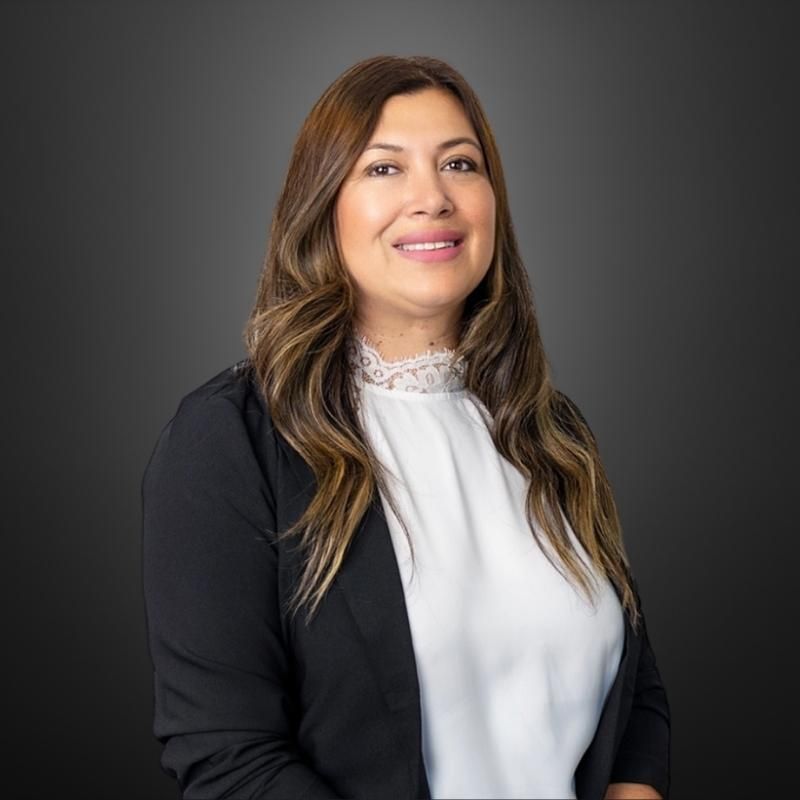 Our Team - Amir Prestige Group