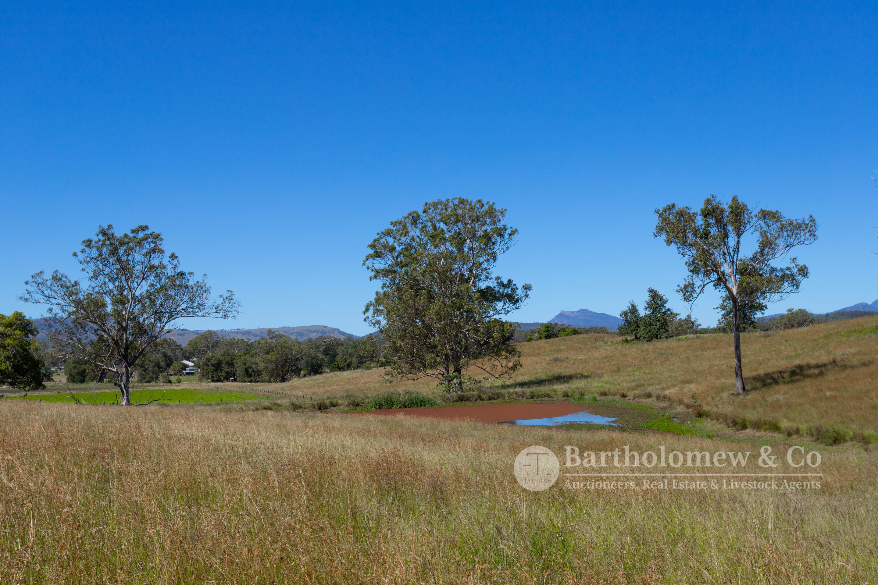 Real Estate For Sale - 986 Mount Alford Road - Mount Alford , QLD