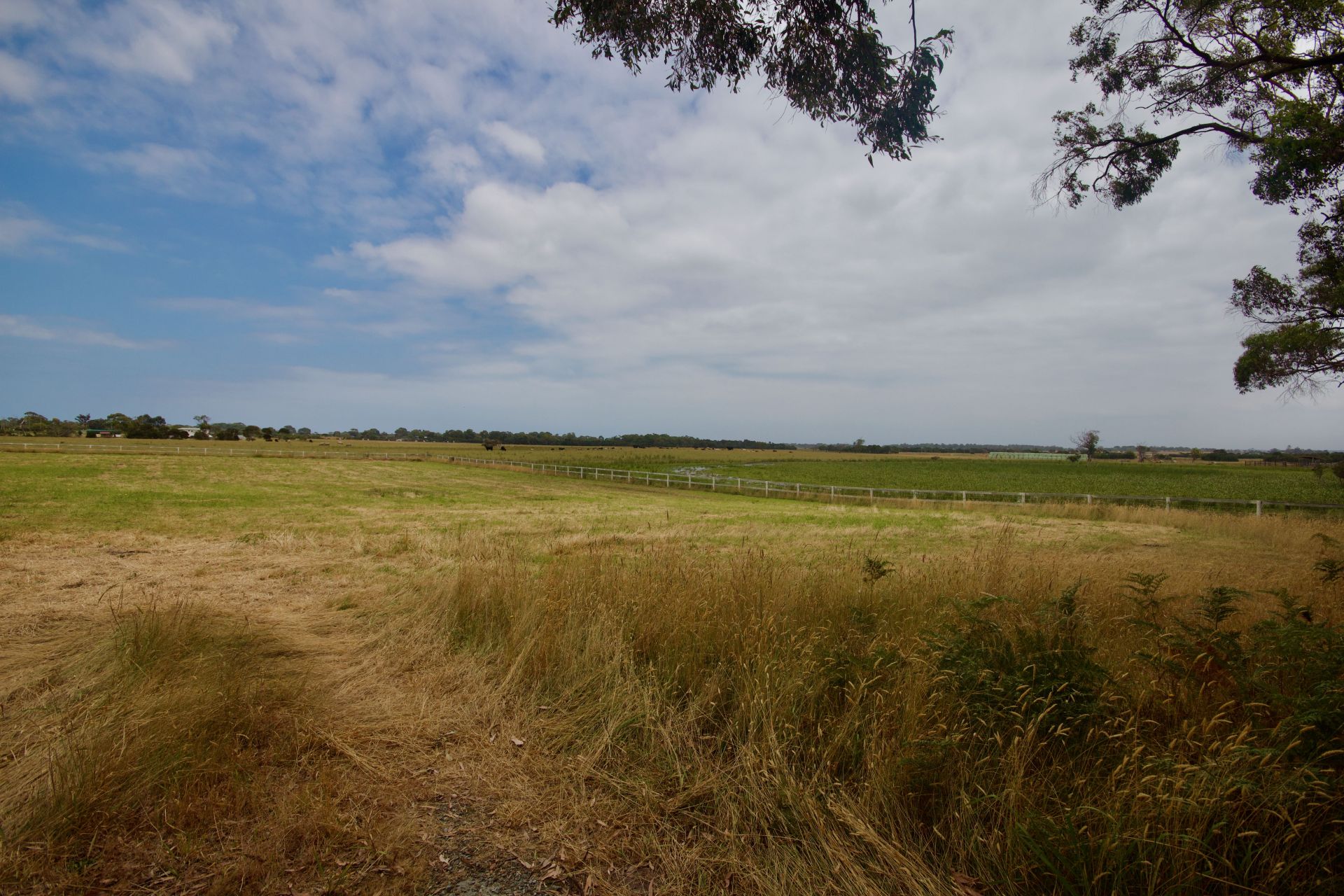 Queensferry-Jetty Road, Corinella | Karen McCormick Real Estate