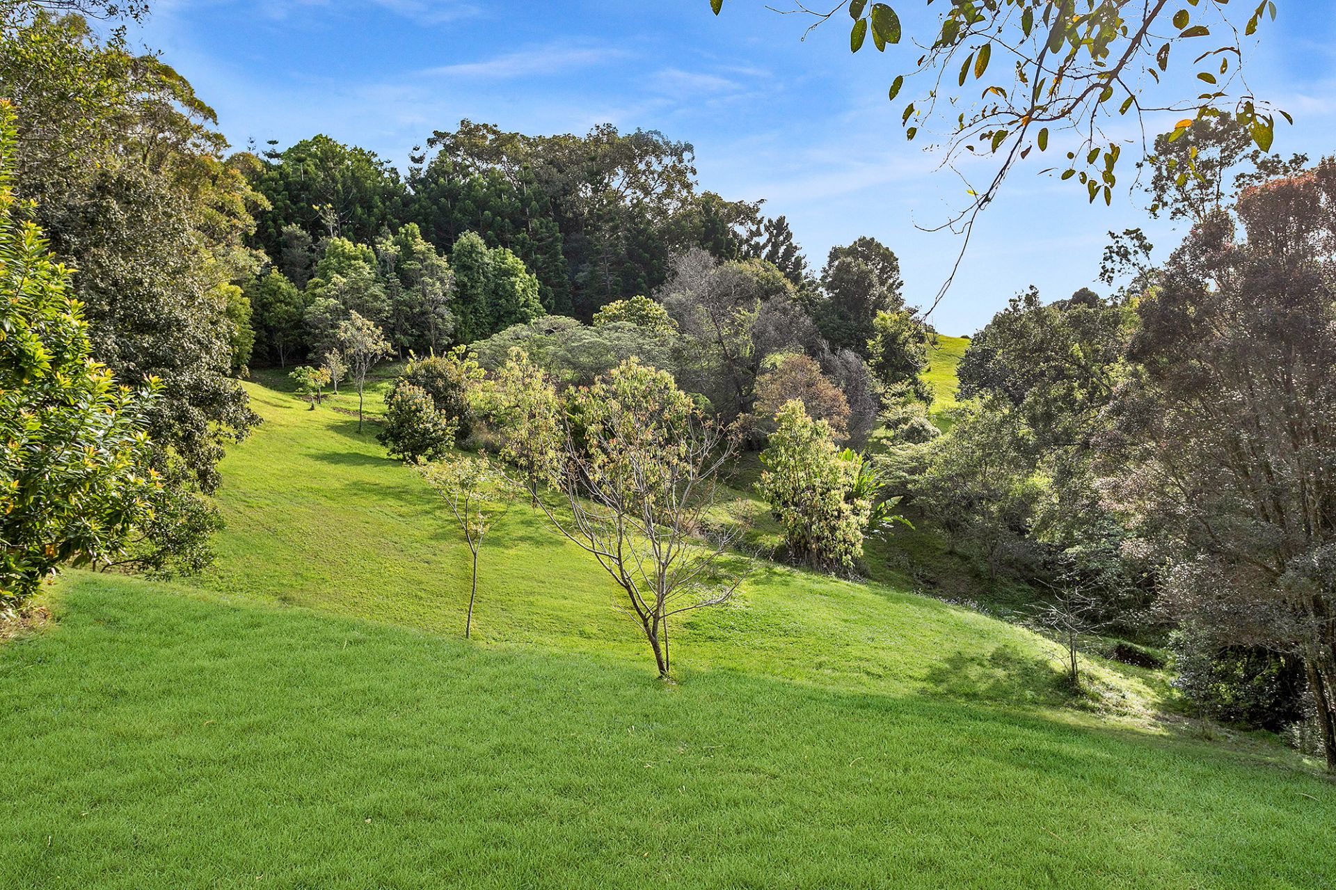 694 Maleny-Montville Road, Balmoral Ridge | Brant Property