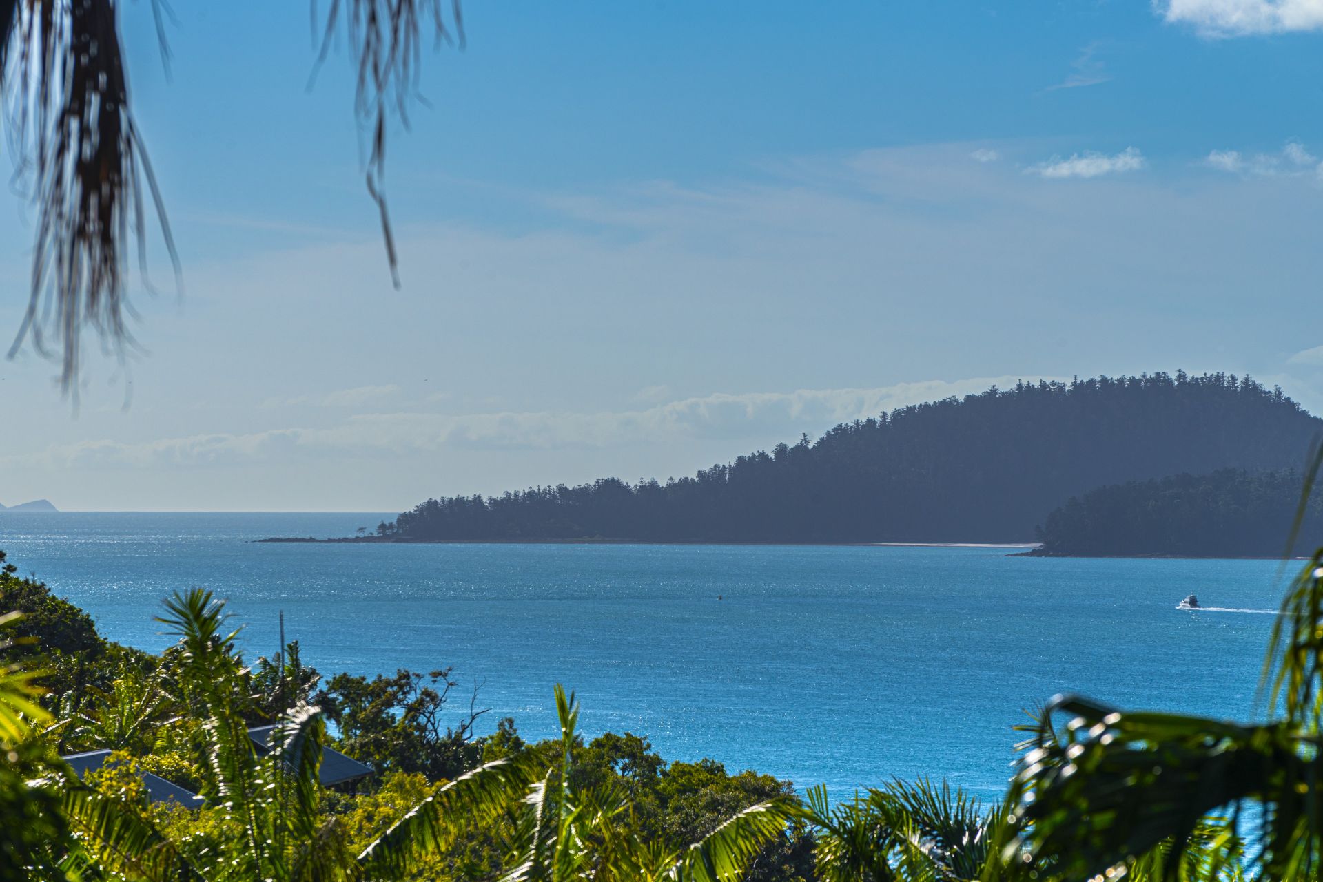 Peninsula 3/18 Whitsunday Boulevard, Hamilton Island | Hamilton Island ...