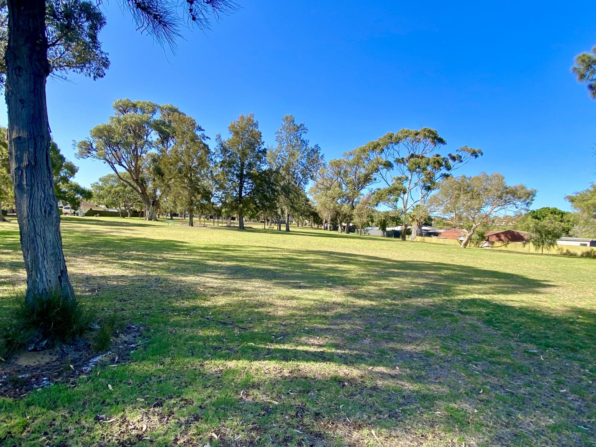51 Fairlane Drive, Carine | Perth Coastal Real Estate | Perth Property ...