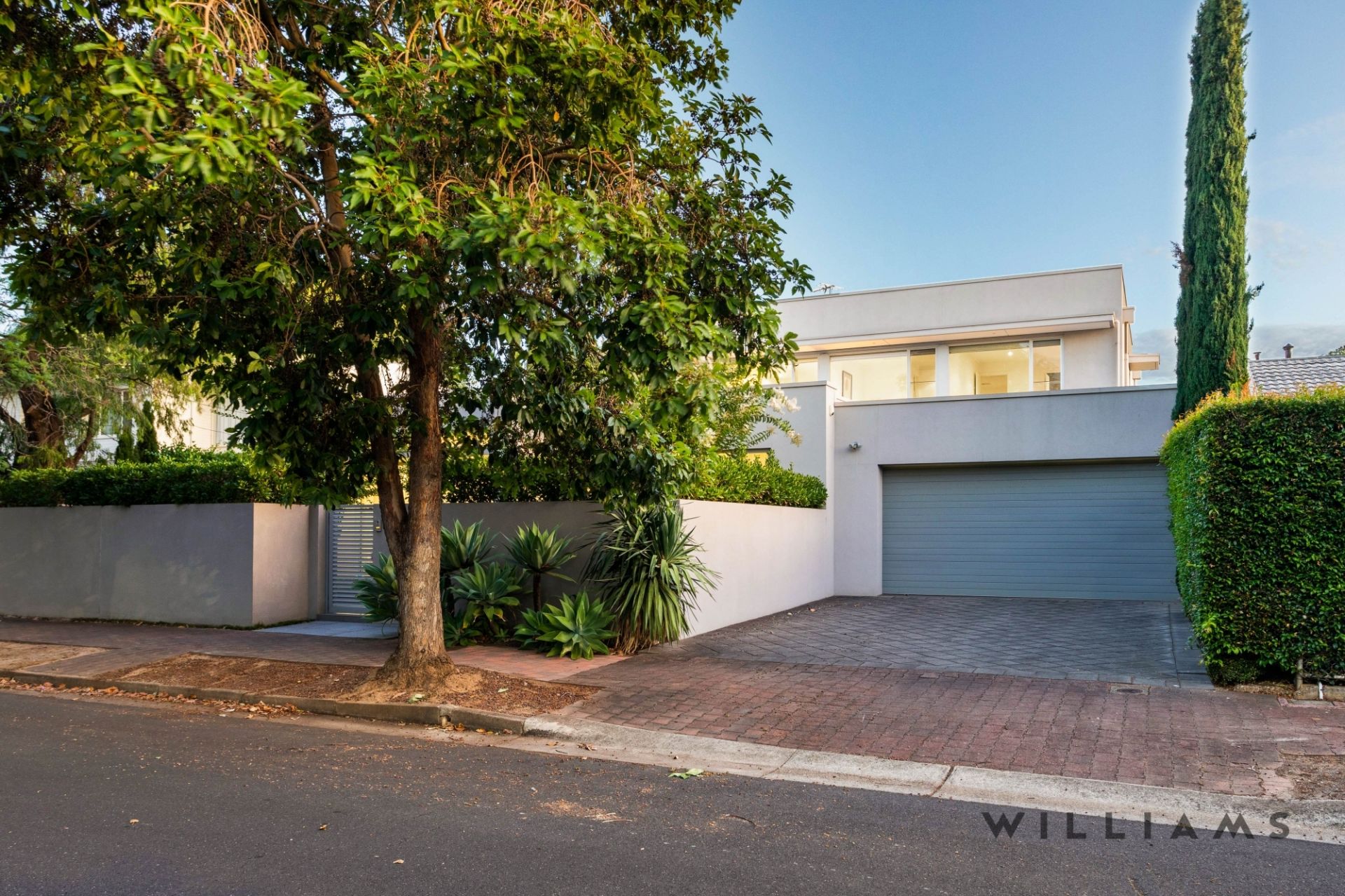 31 Malcolm Street, Millswood | Williams Real Estate
