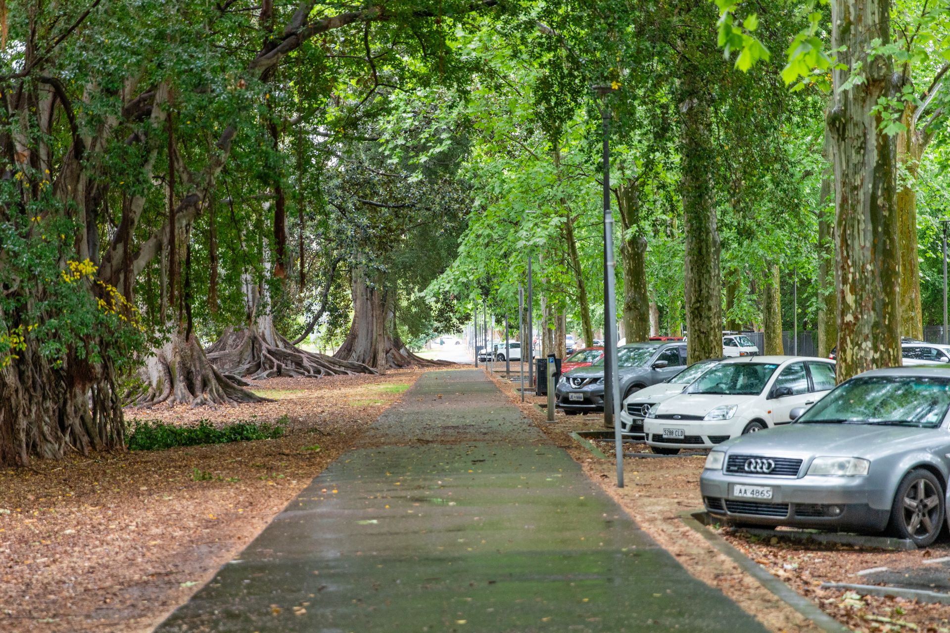 5 Cambridge Street, Hackney | Fox RE