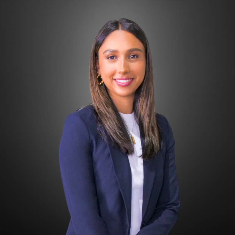 Our Team - Amir Prestige Group