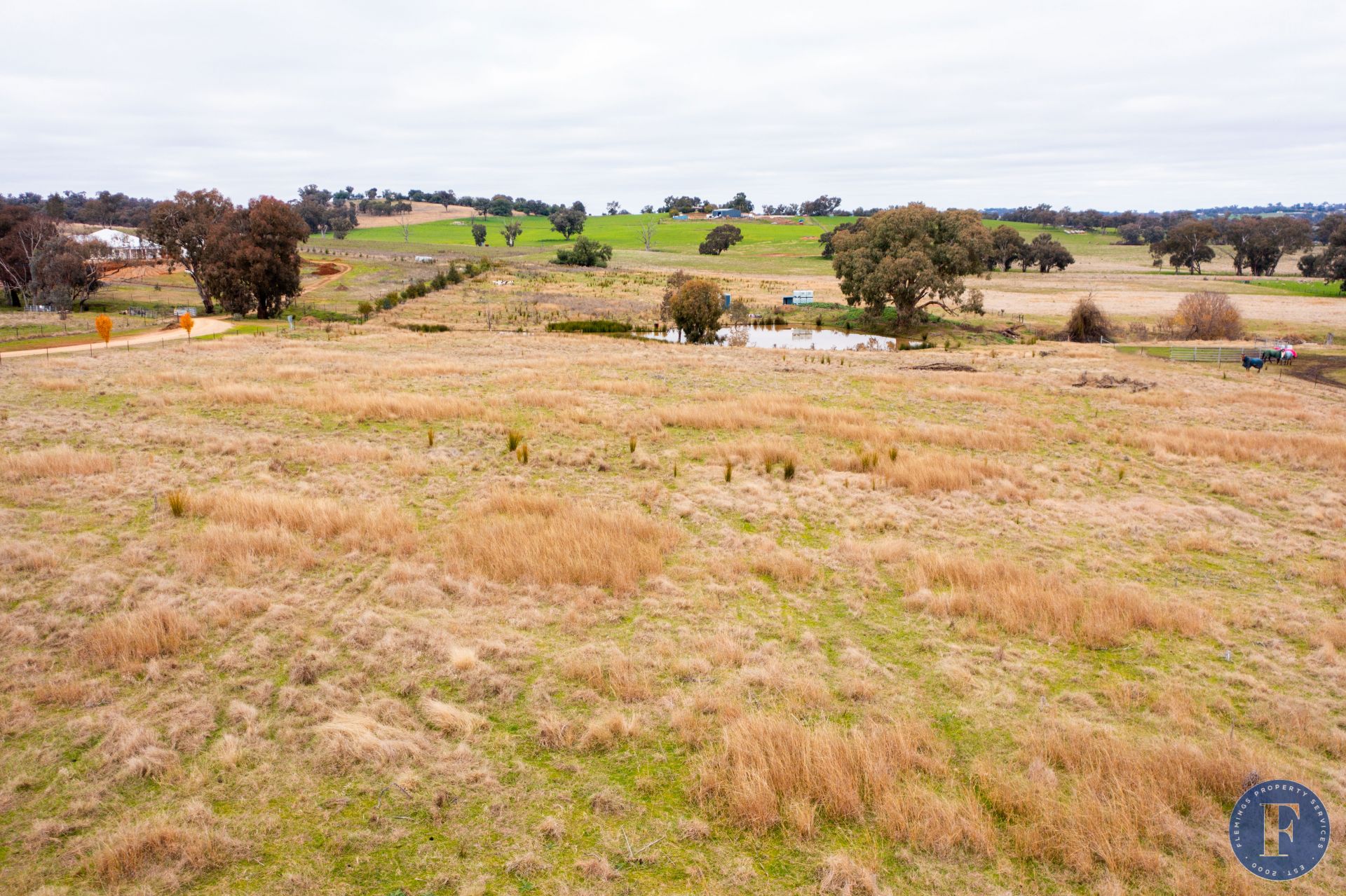 141 Forbes Lane, Young | Flemings Property Services