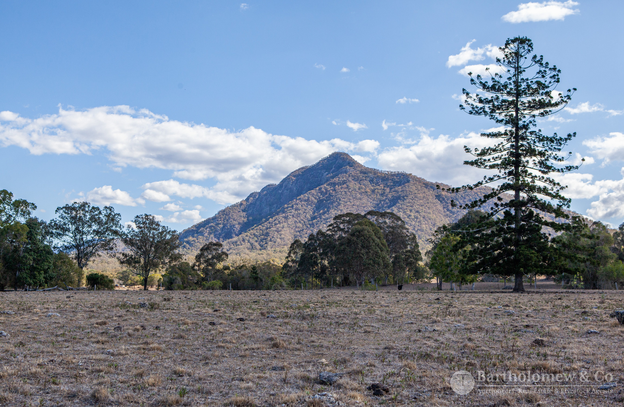 Real Estate For Sale - 342 Dwyer Ridges Road - Mount Alford , QLD