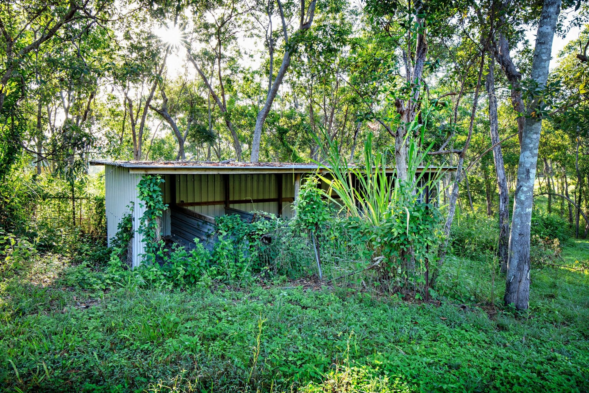 13 Berryhill Road, Riordanvale | Taylors Property Specialists