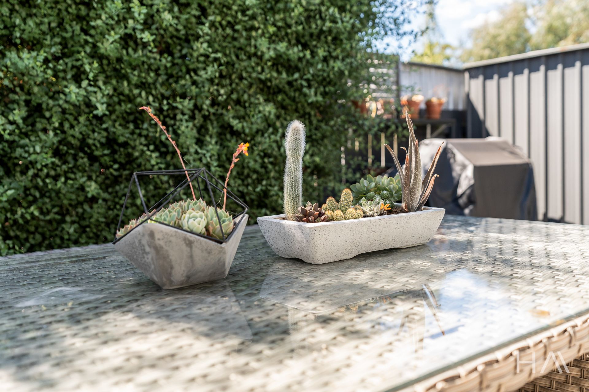 1/3 Donald St, Invermay | Harrison Agents