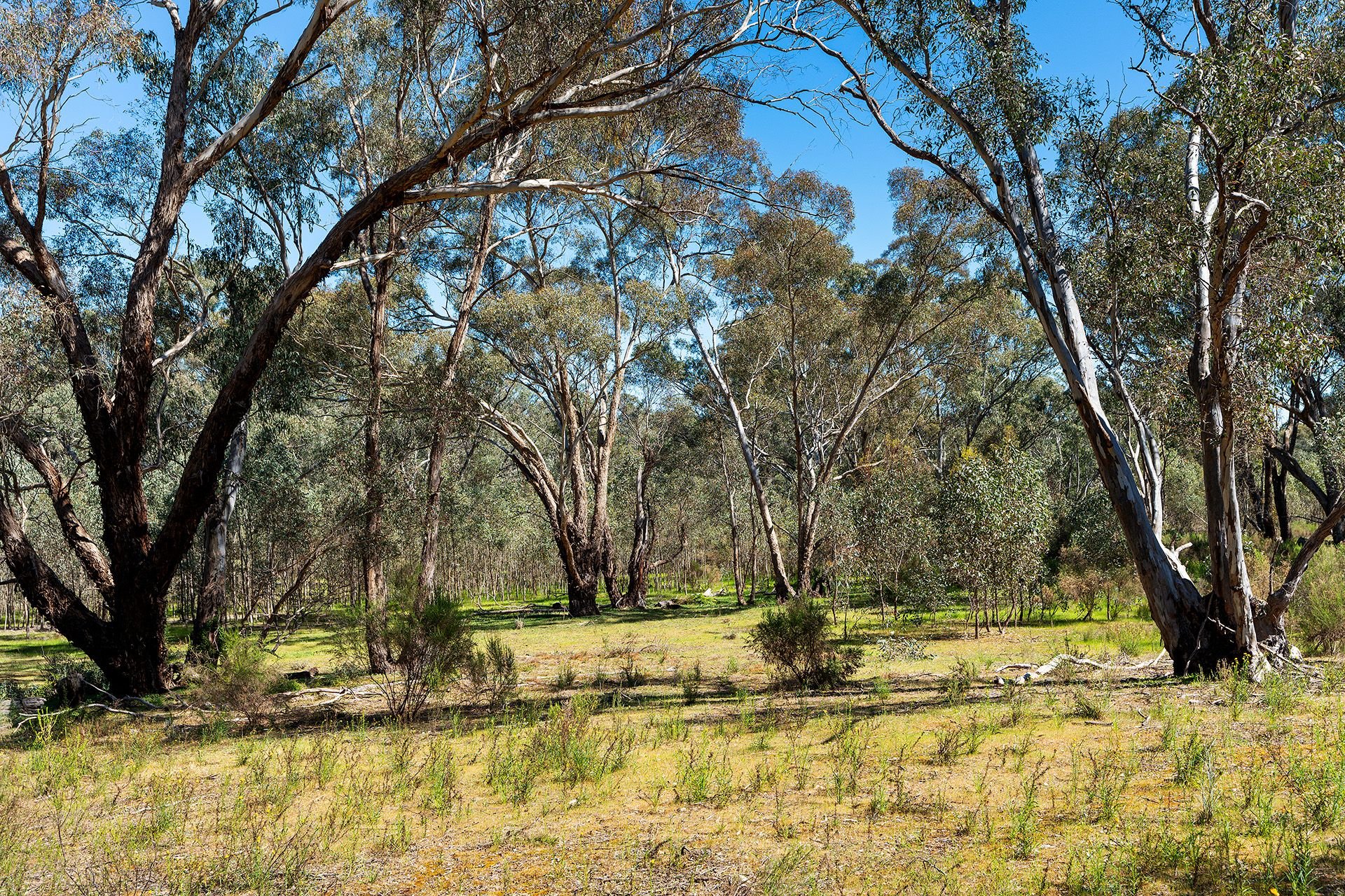 CA 6 Sec Mt. Camel - Graytown Road, Redcastle | Cantwell Property ...