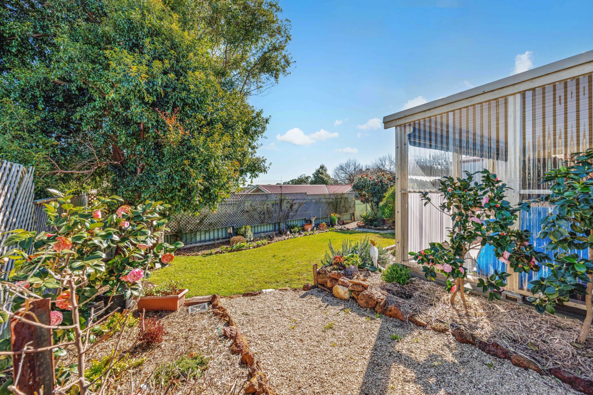 6 Clystlands Street, Meadows | Adcock Real Estate
