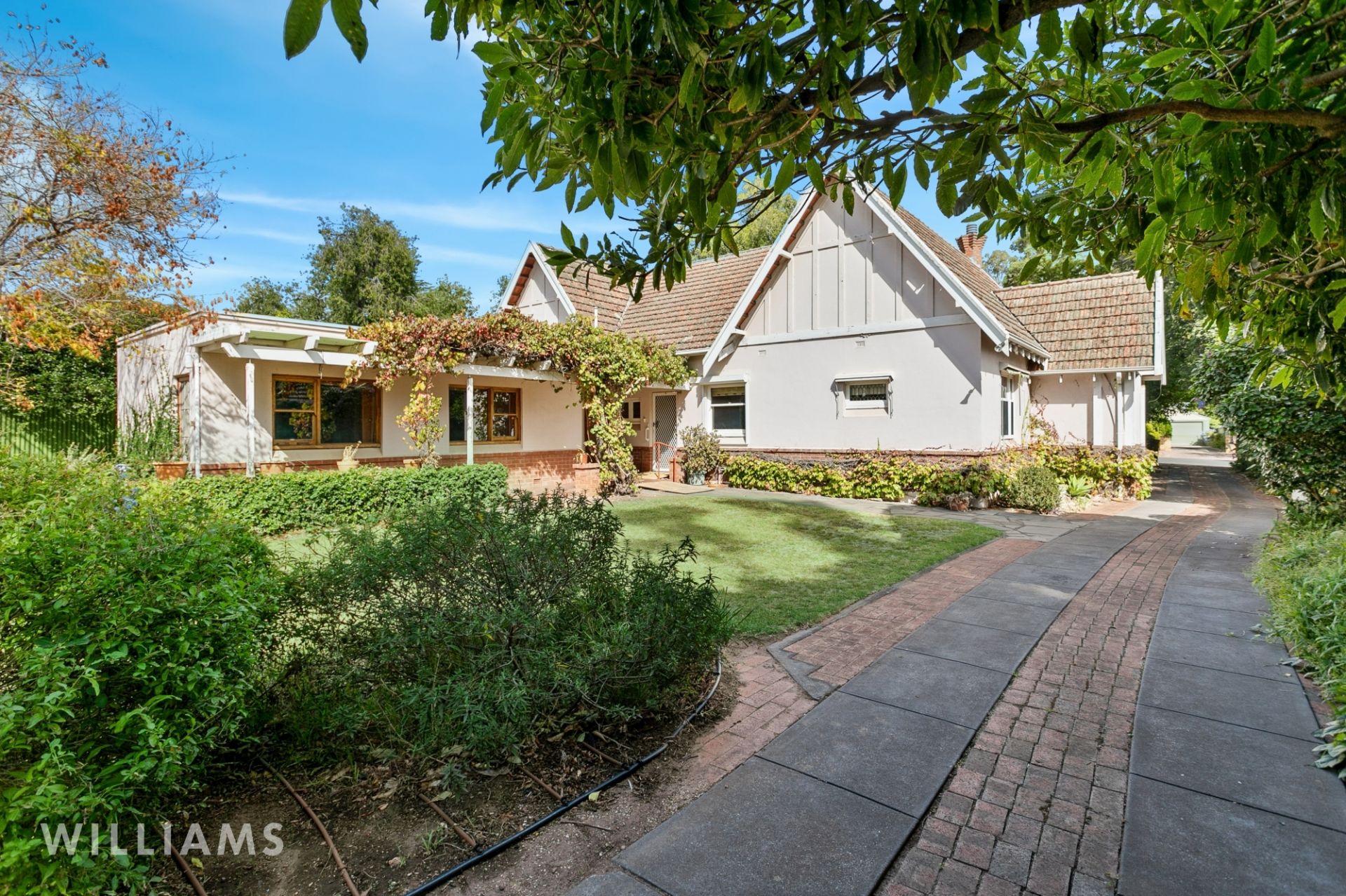 74 Tusmore Avenue, Tusmore | Williams Real Estate