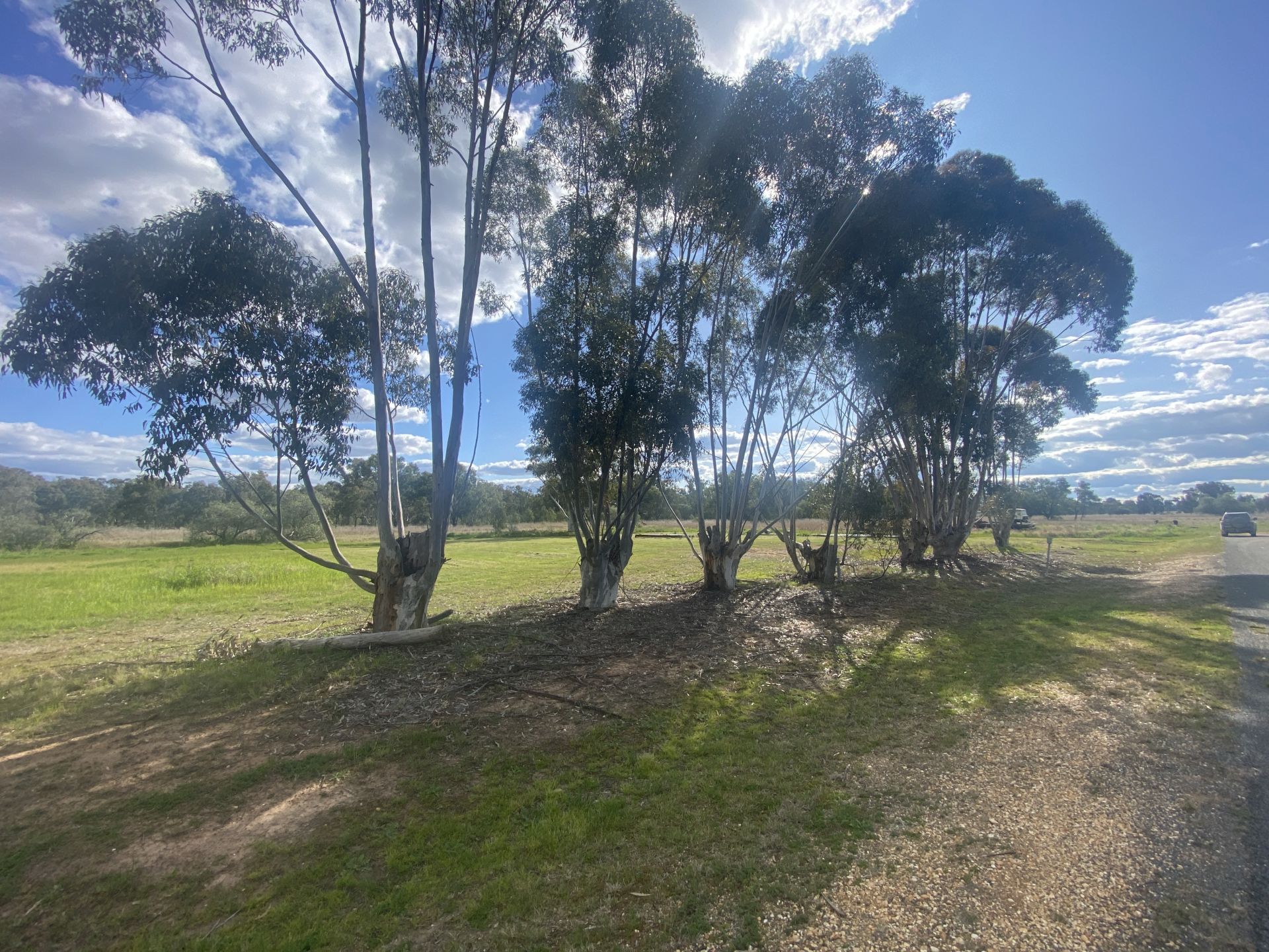 192 Yamma Street, MORUNDAH | QPL Rural