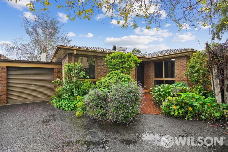 5/59 Clarence Street, Elsternwick | Wilson Agents