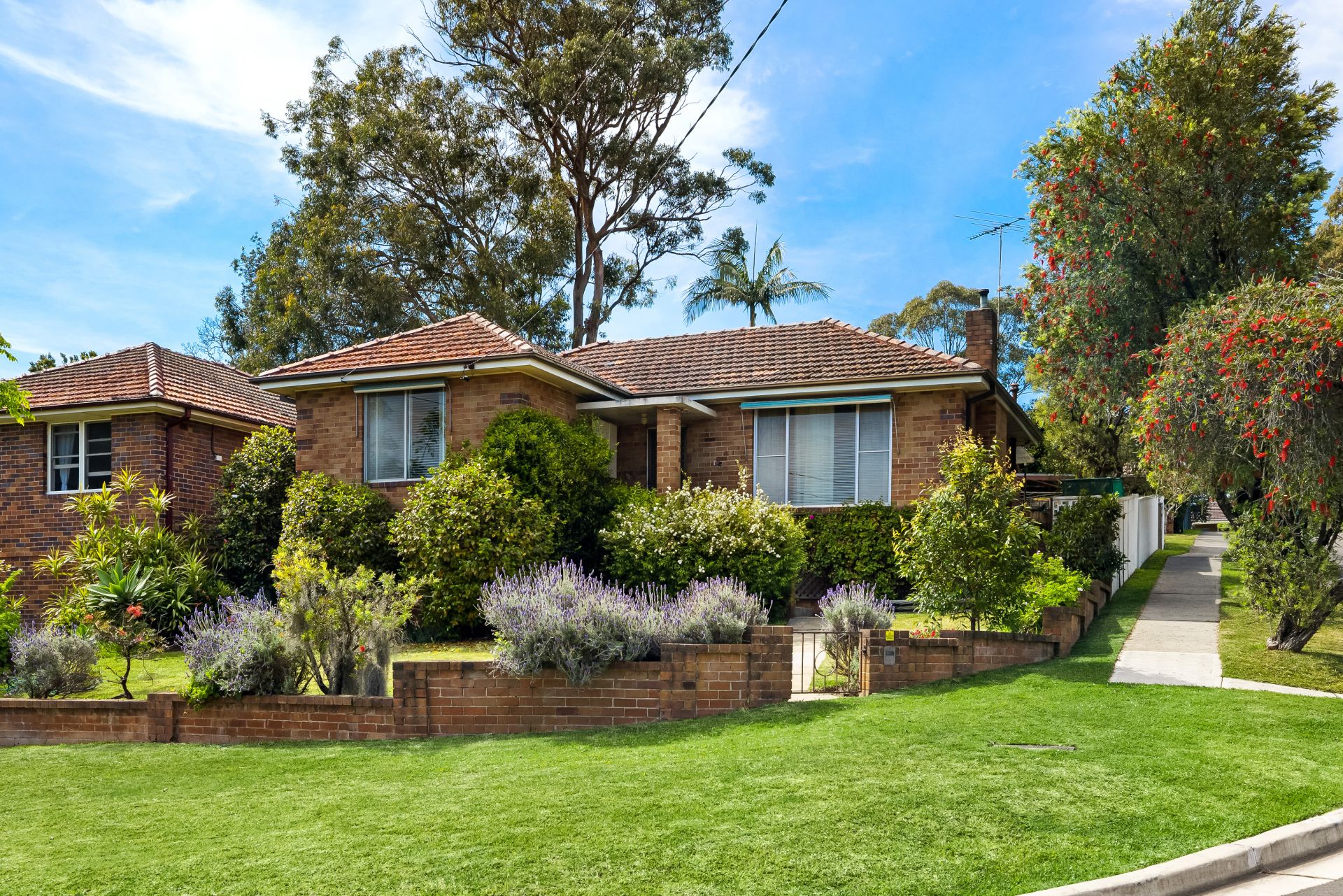 Real Estate For Lease - 33 Pooley Street - Ryde , NSW