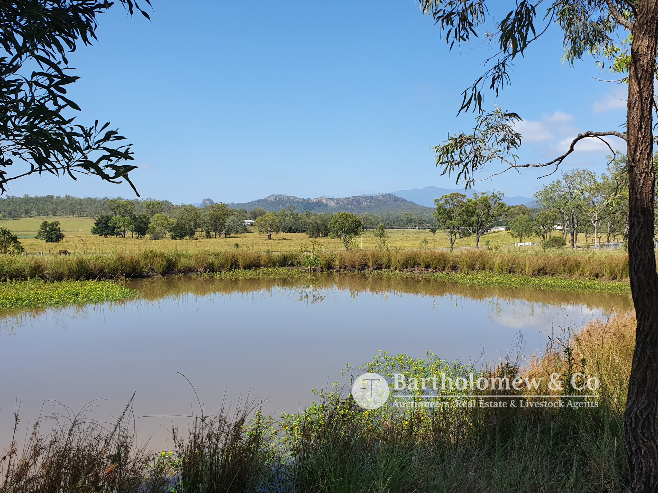 Real Estate For Sale - Lot 10 Ganthorpe Road - Mount Alford , QLD