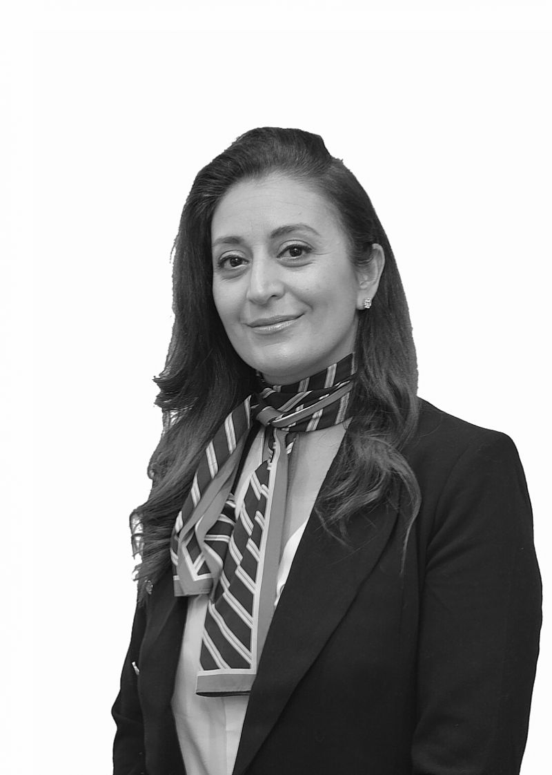 Our Team - Jason Real Estate