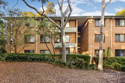 Stone Real Estate | Stone Parramatta | Stone Real Estate