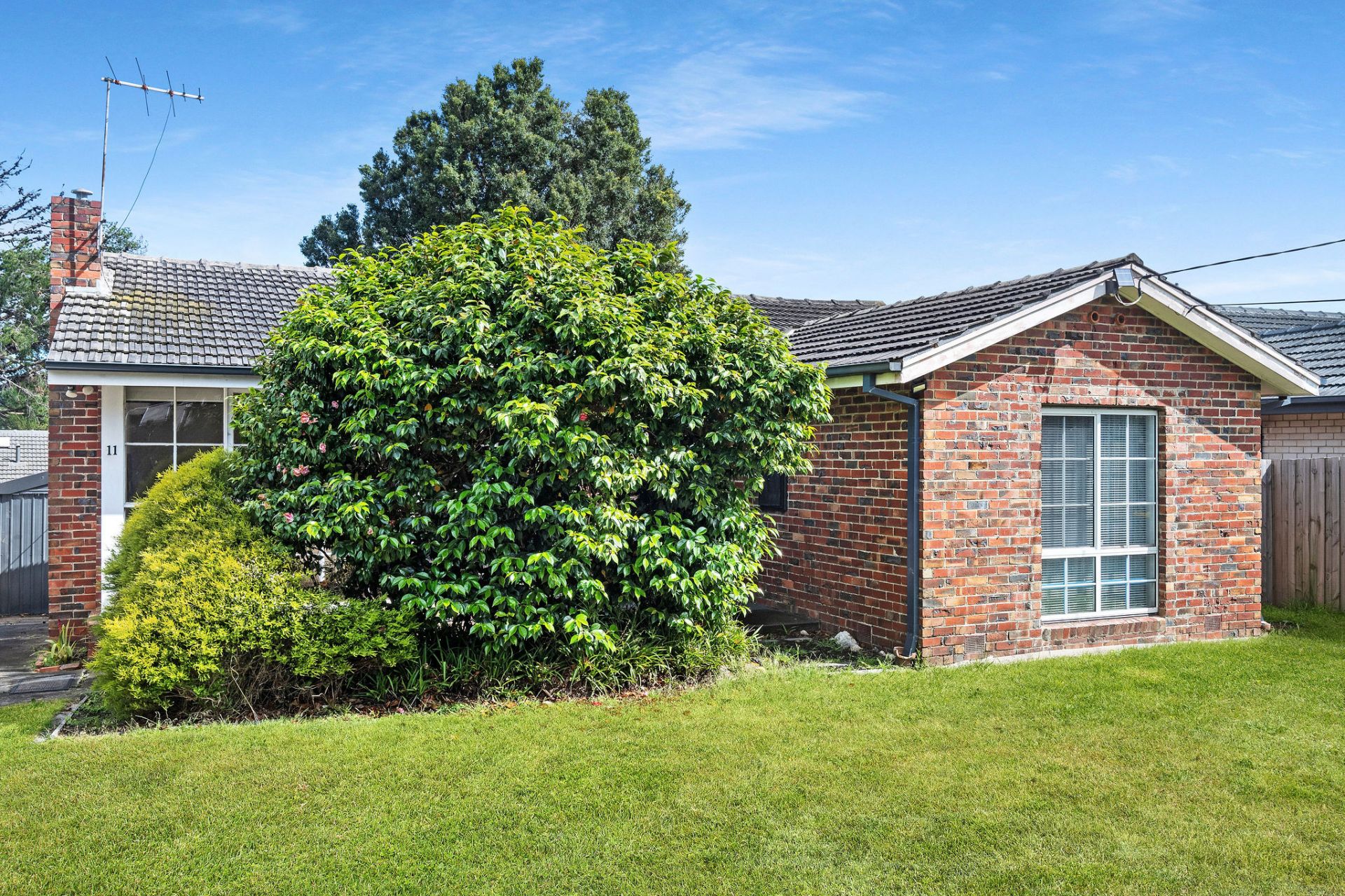 11 Golconda Avenue, Frankston | OBrien Real Estate